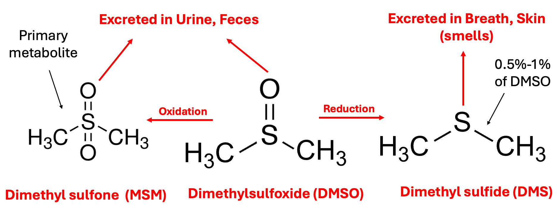 DMSO Could Save Millions From Brain and Spinal Injury