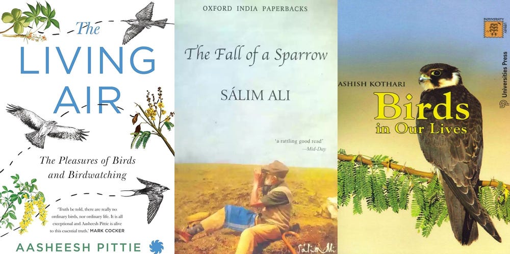 #23: Bird Migrations - by Devayani Khare - Geosophy