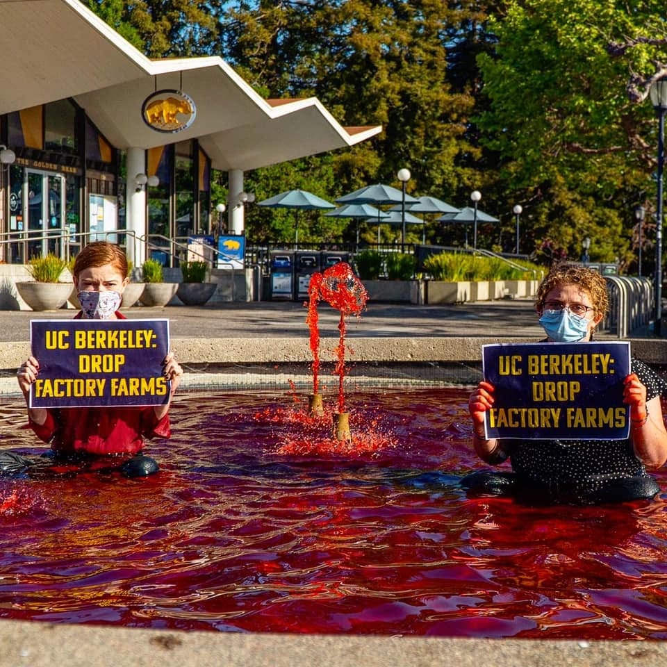 How Do We Determine Which Children Matter?