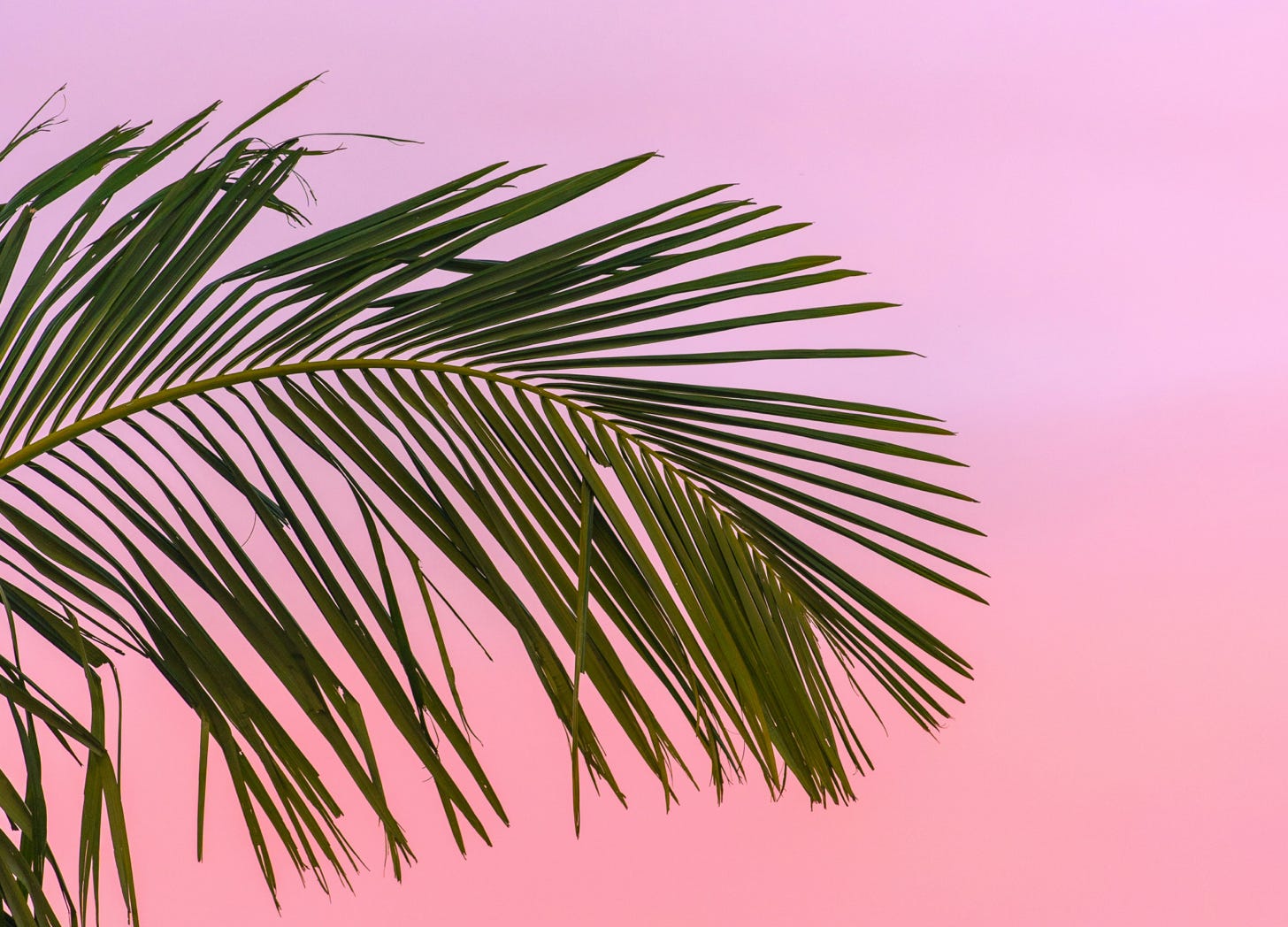 Founder Fridays No. 98 - by Kyle Westaway - Founder Fridays