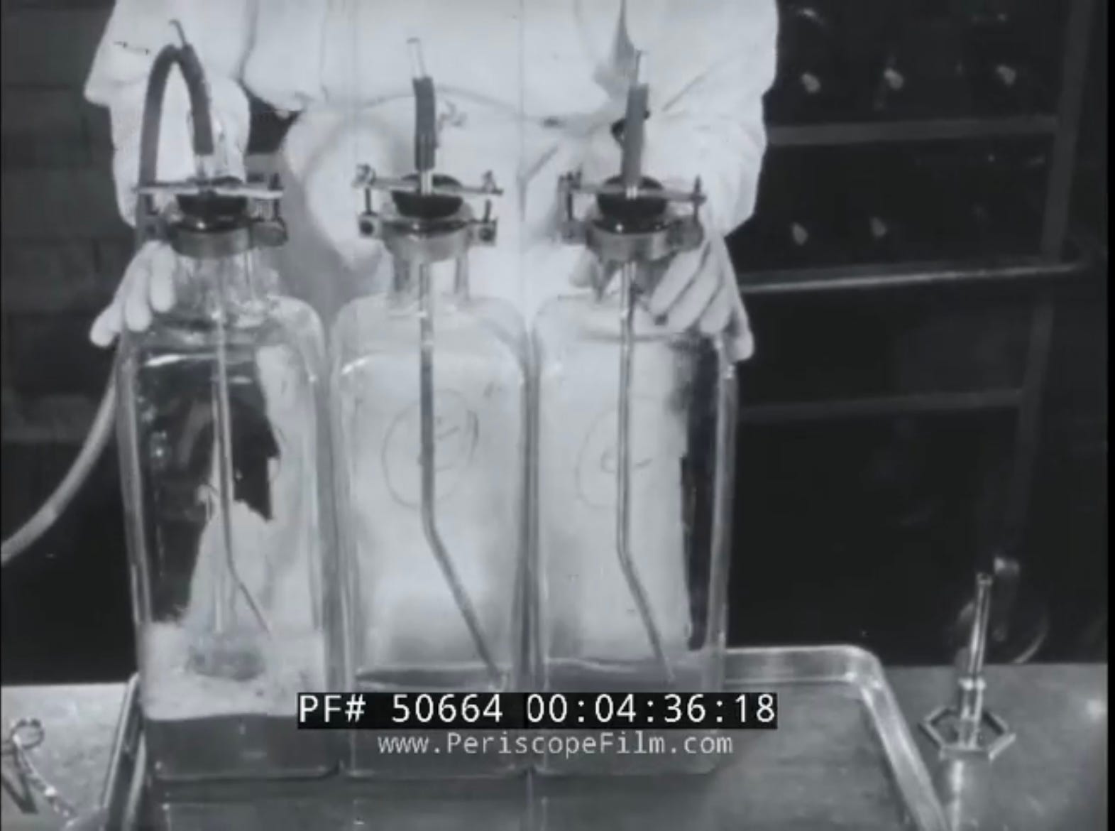 The Disturbing Truth How the Polio Vaccine Was Made
