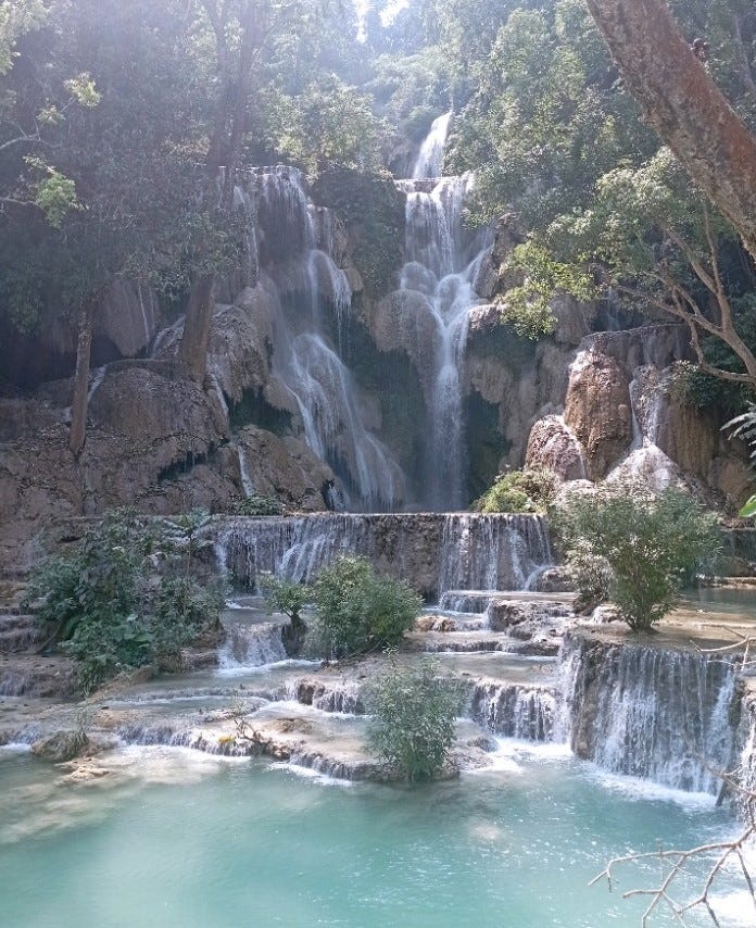 The lush rainforests of Laos - Laurel Goss EnRoot