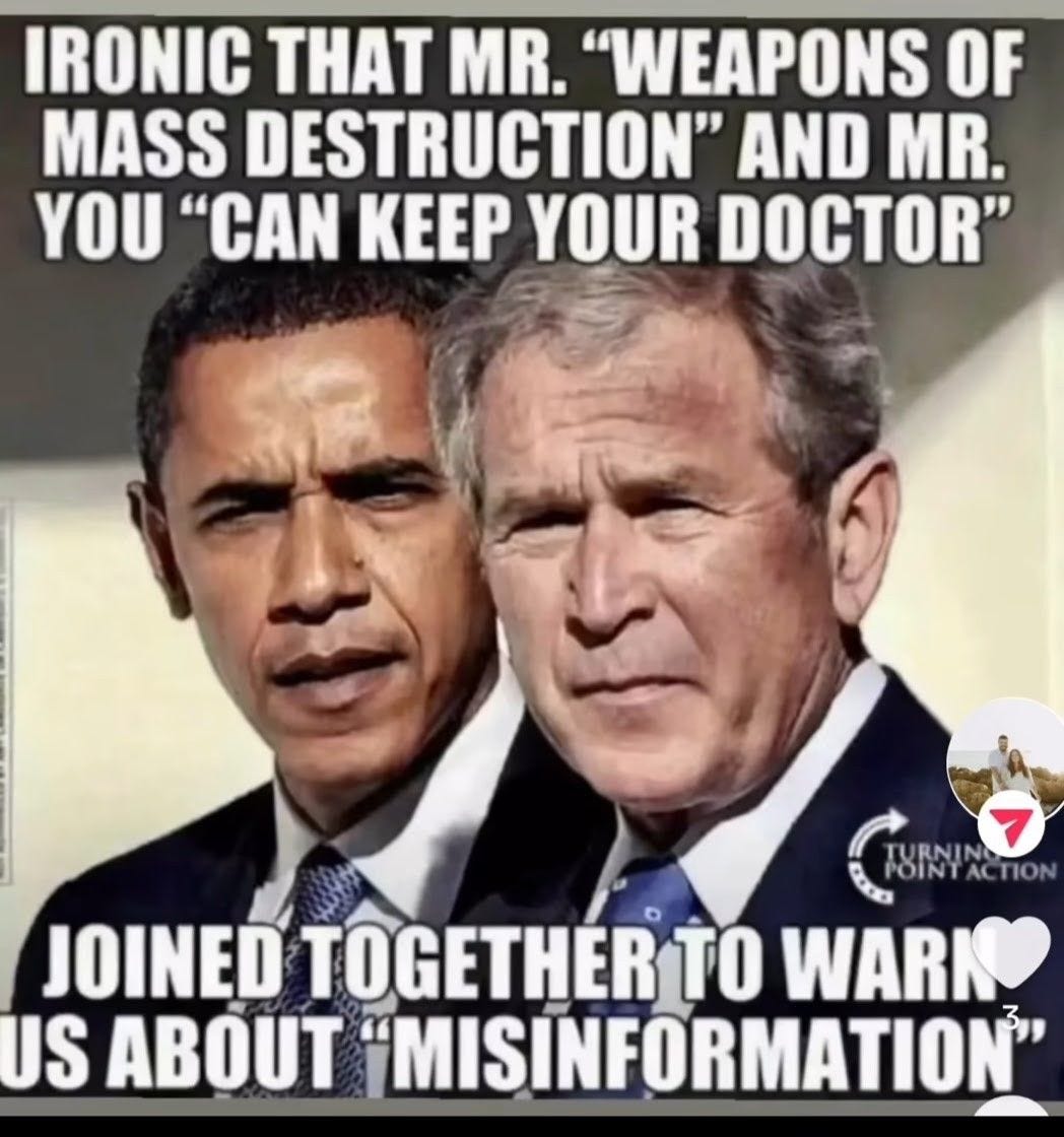 Irony Twins - by Terry L. Clark - Terry L Clark on Substack