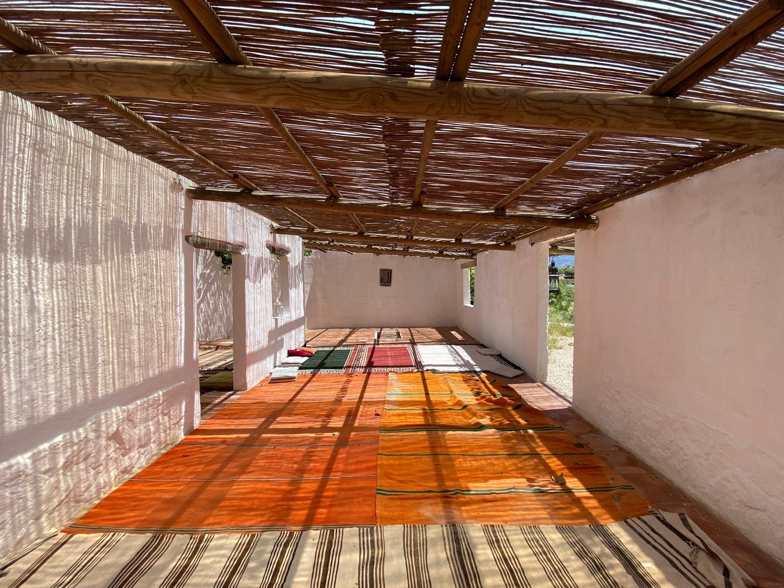 Miracle Road - by Elest Ali - Elest's Substack