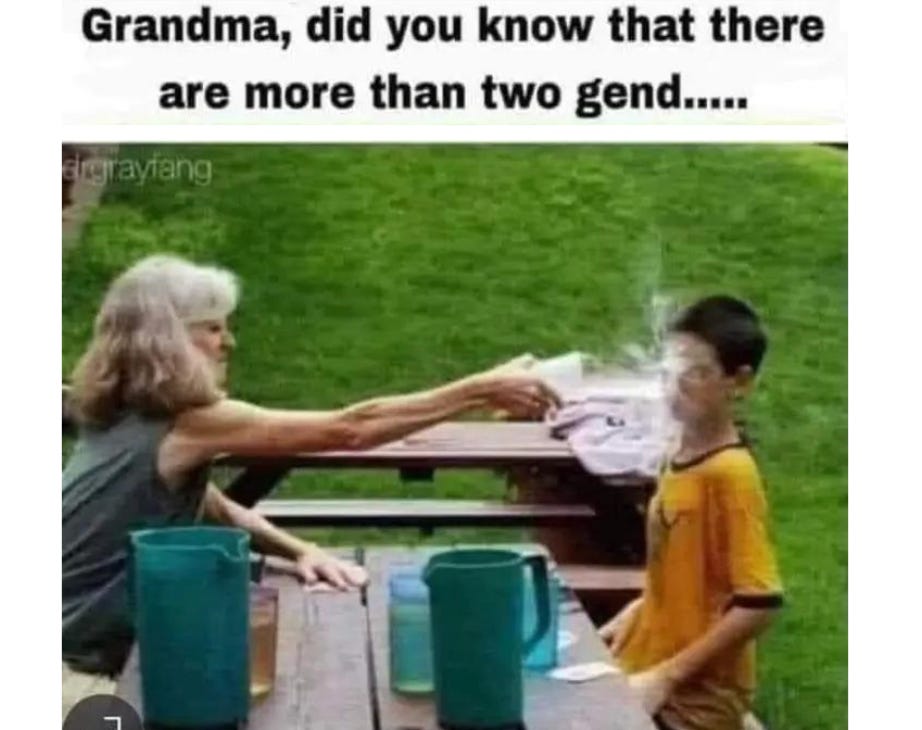 Sunday Strip: Leaping Wombats - by Robert W Malone MD, MS