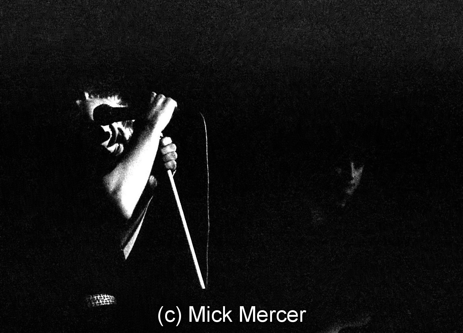 ON THIS DAY ... in 1978 - THE FALL - Mick Mercer's Panache