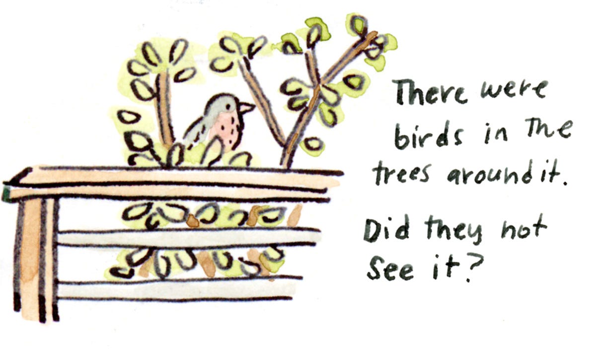 52 Weeks | Zara González Hoang | Substack