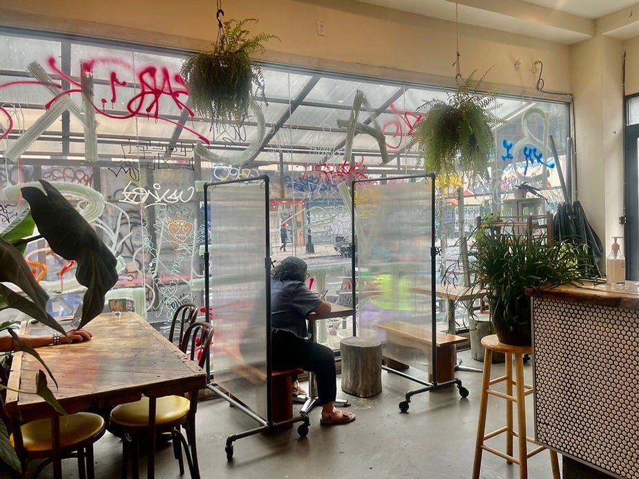 Brooklyn Whiskers (Bed Stuy/Bushwick) - by Andy Hirschfeld