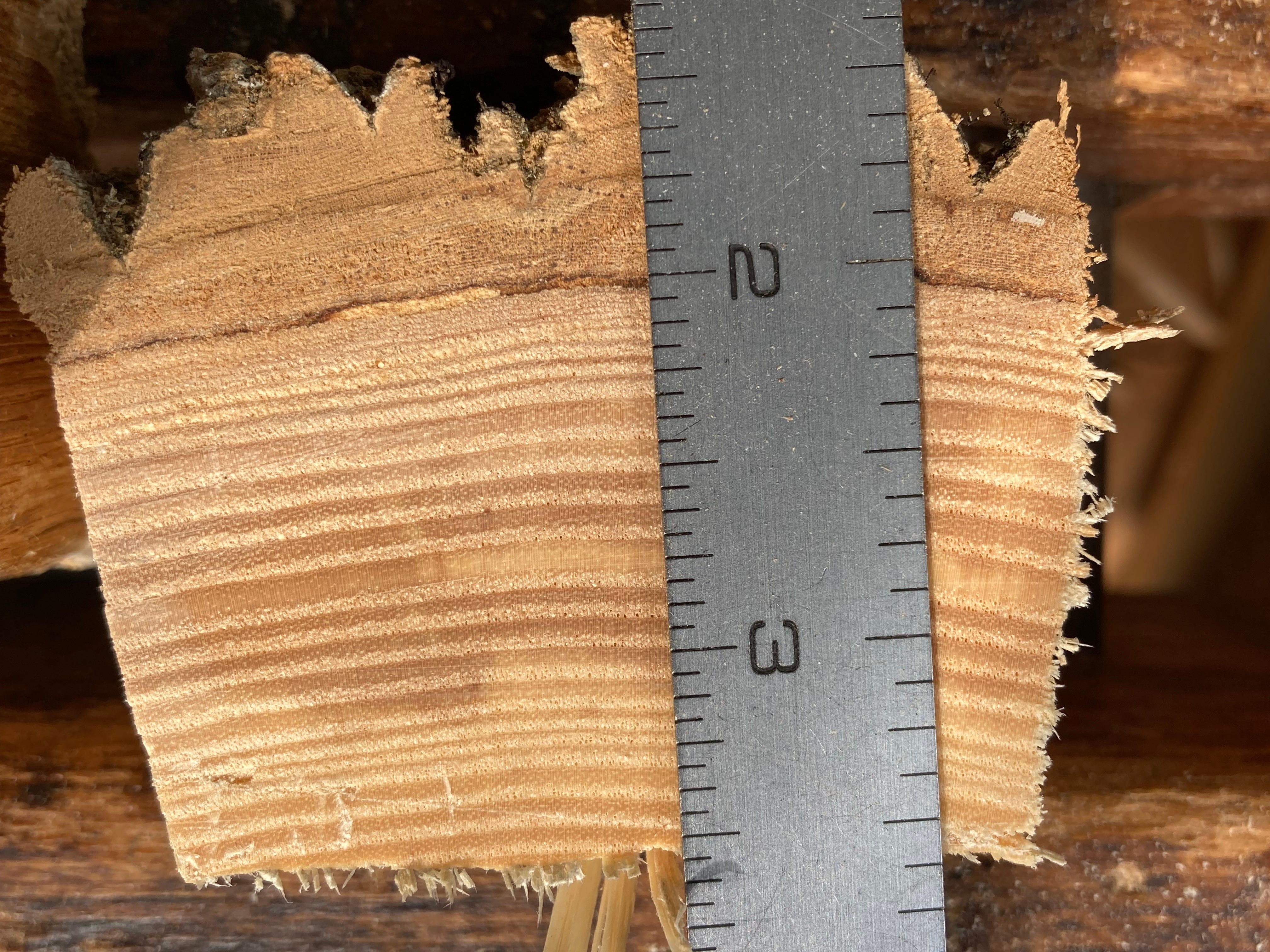 Summertime - by Peter Follansbee - Follansbee's Substack