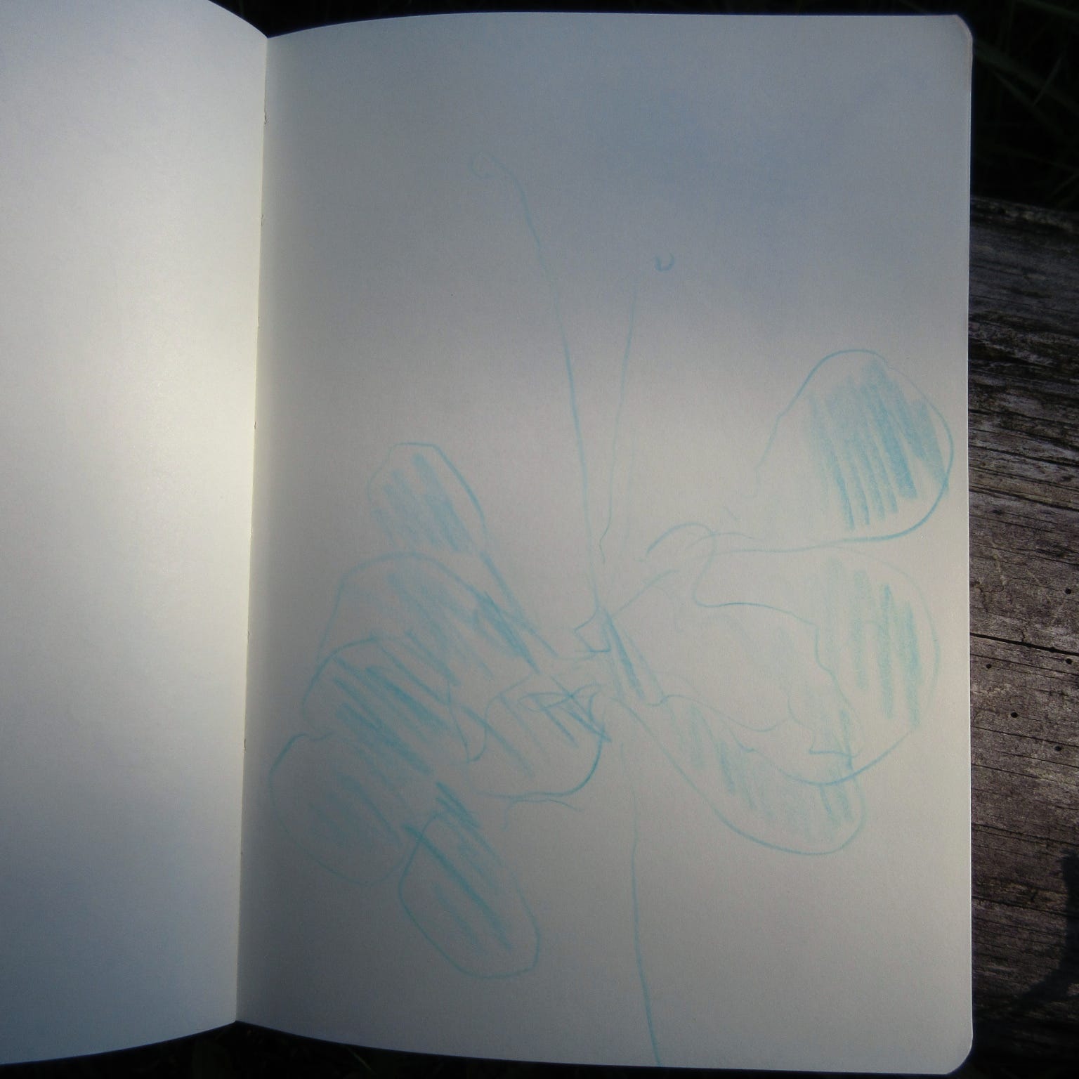 Baby Mushroom Skull Hunting - by Elliot Lessing