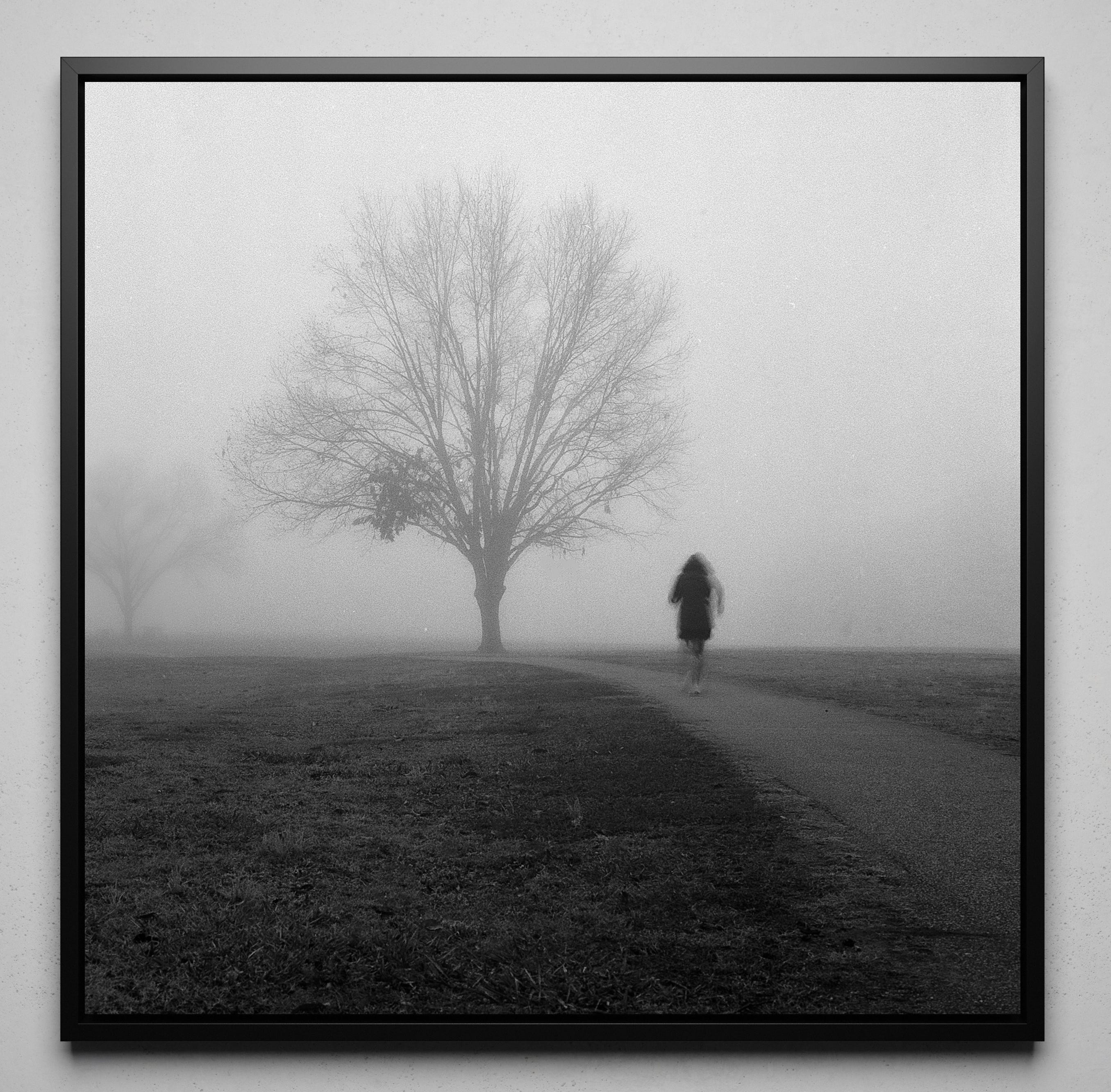 Aspective View in Photography - by Scott Allen