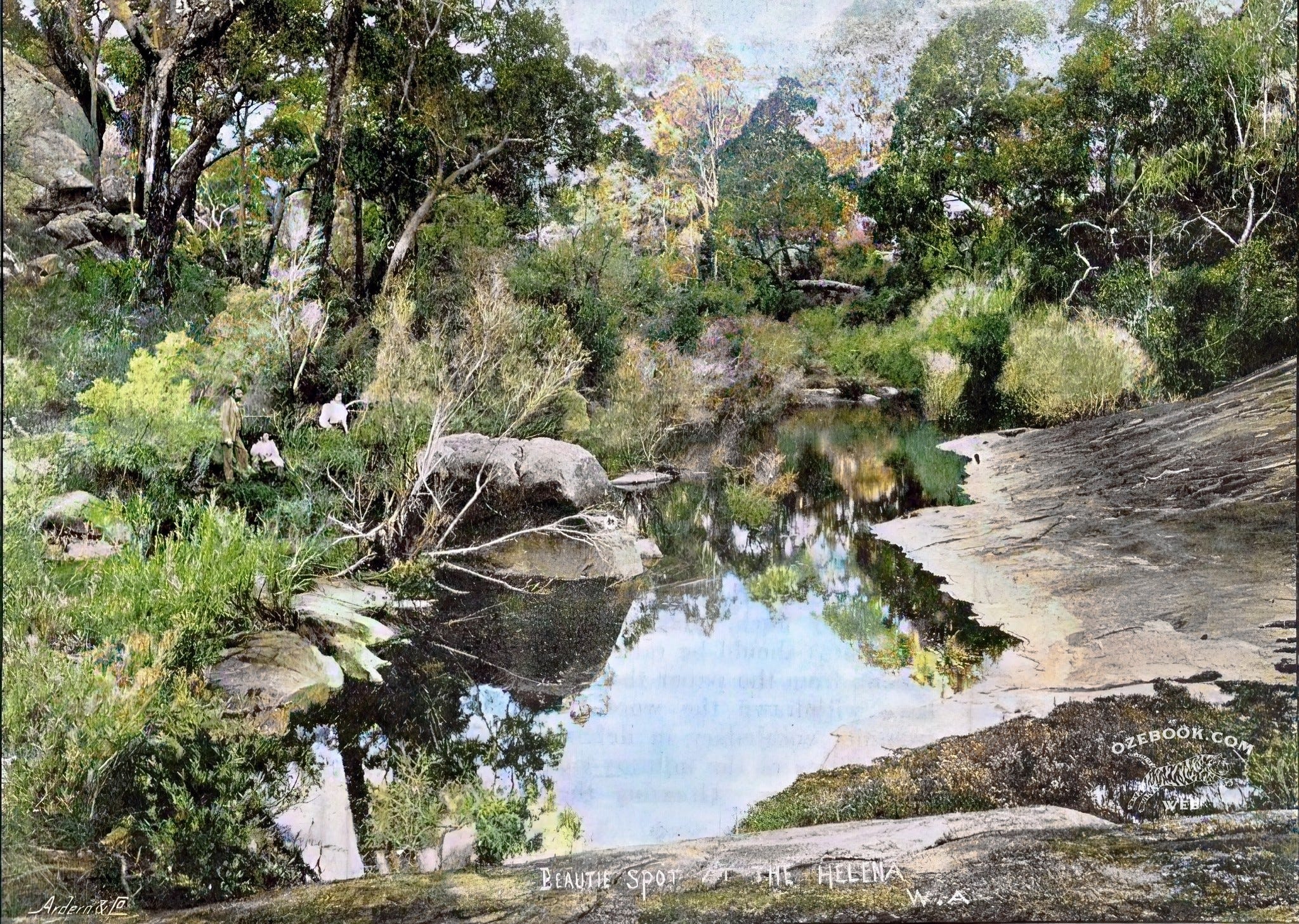 Helena River 1914 - by The Ordinary Australian