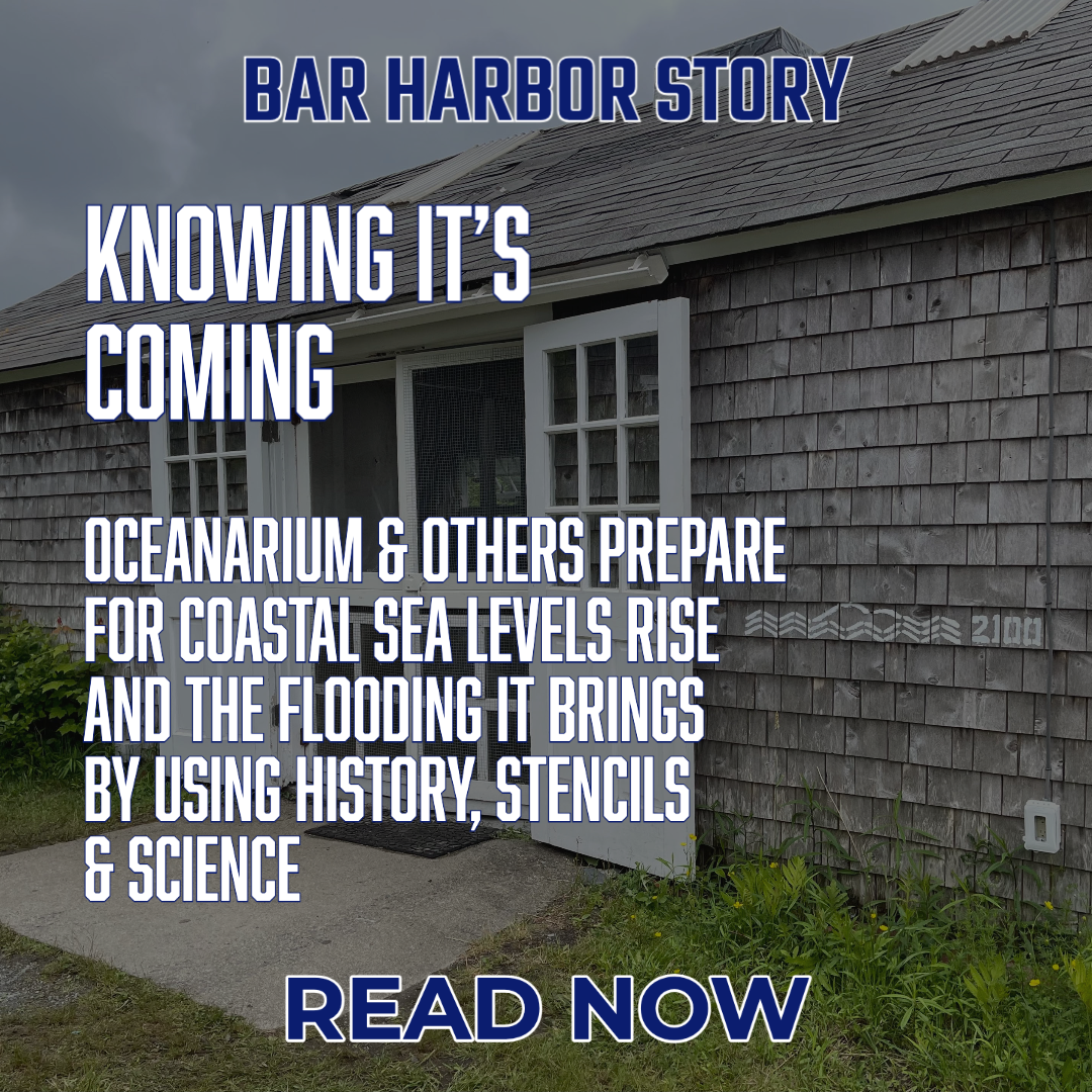 Knowing It's Coming - by Carrie Jones - Bar Harbor Story