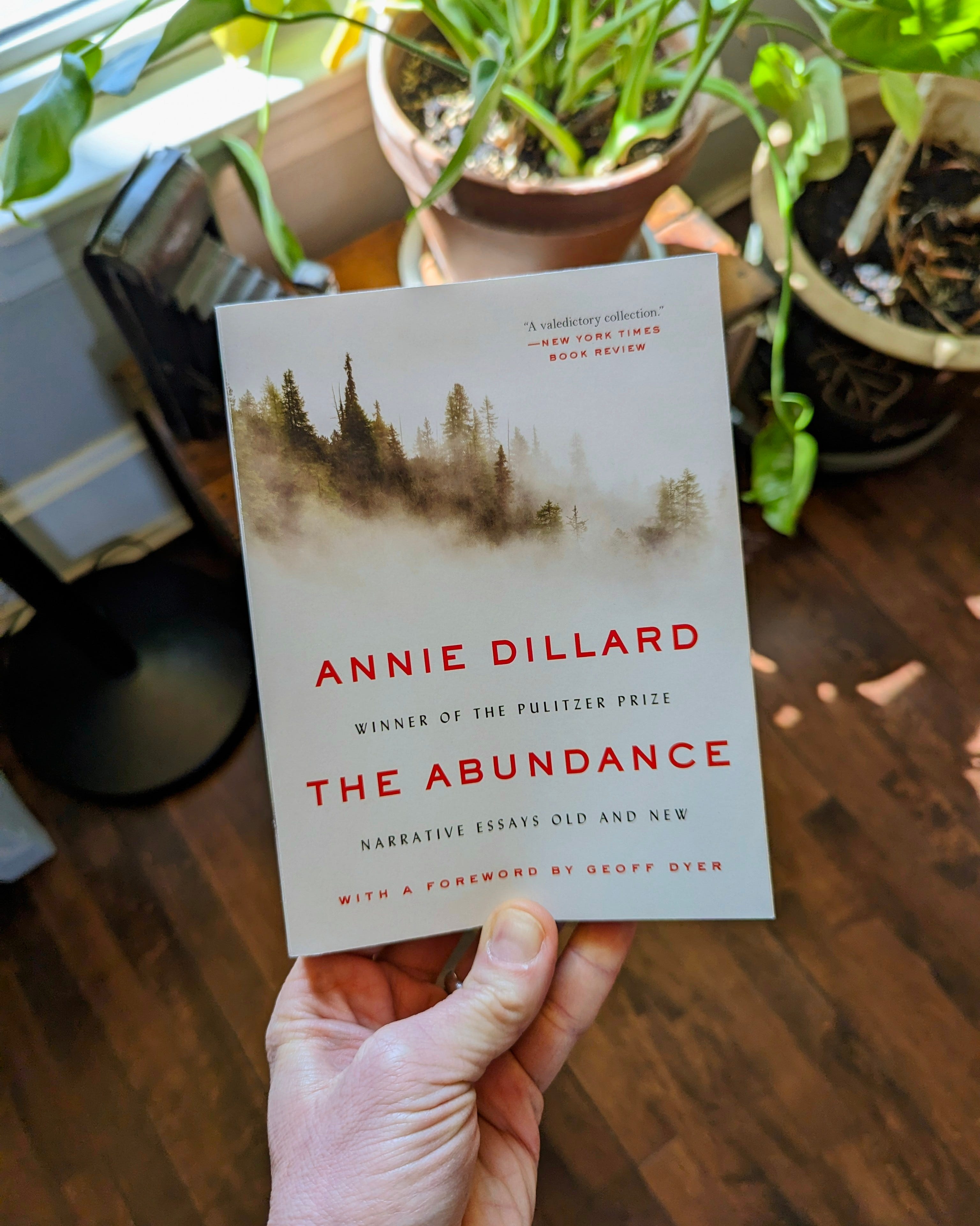 Picturing the Solar Eclipse - by Andy Adams