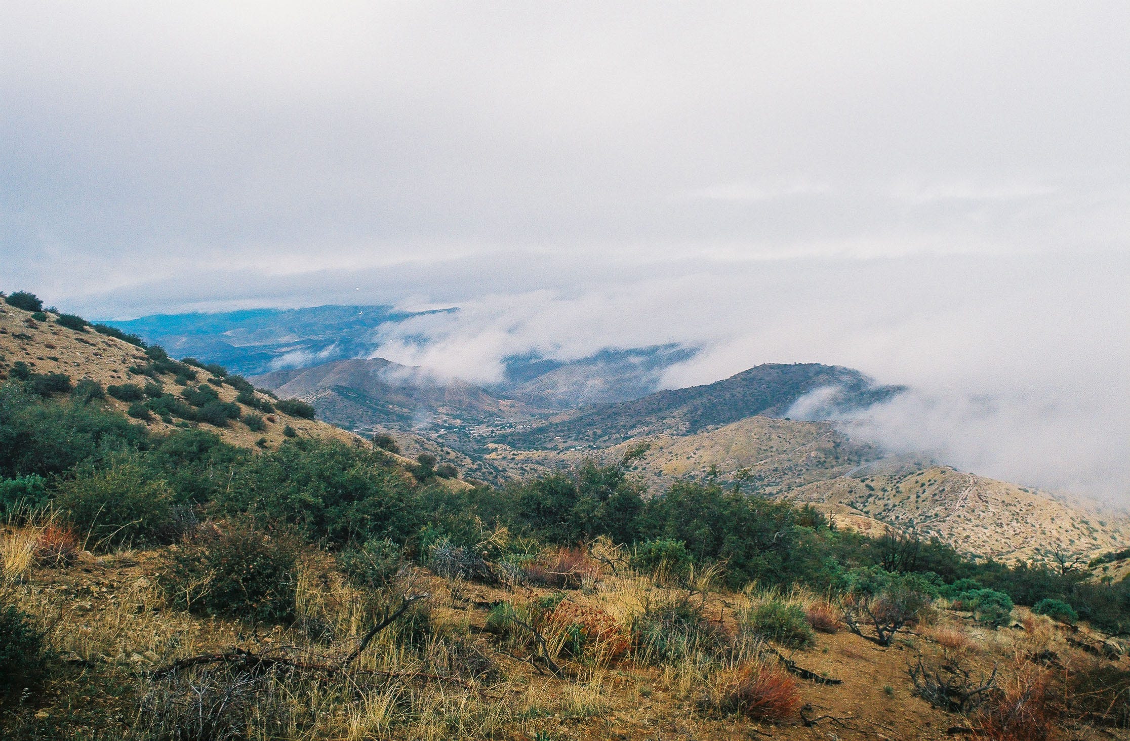 A Change of Scenery - by Casey Schreiner