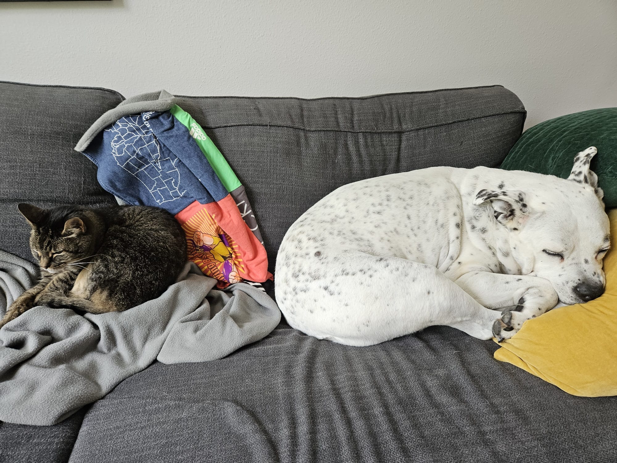 May 2023 - by Sonja - Sonj’s Substack