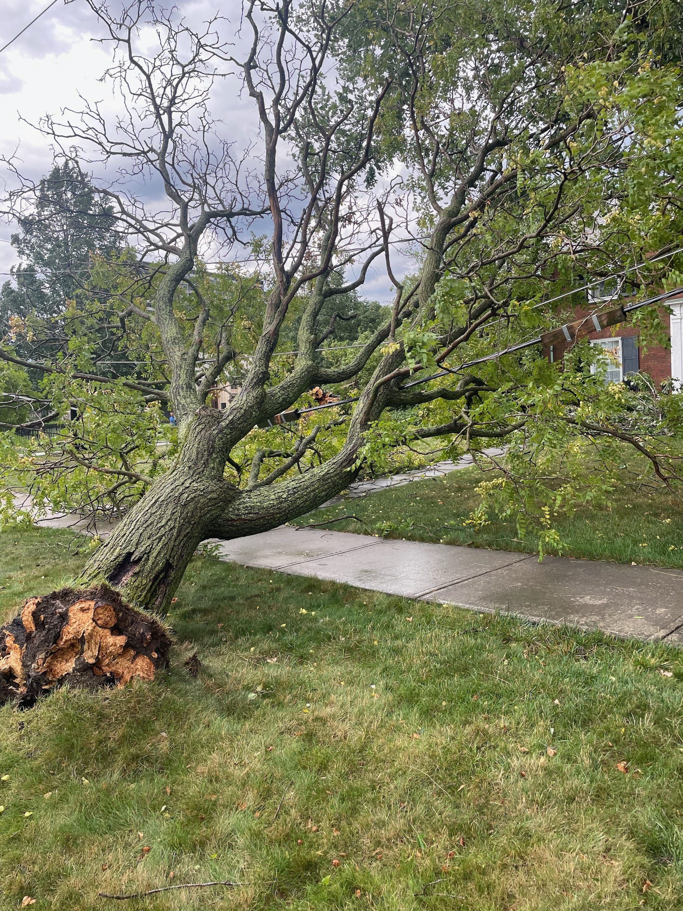 Mercury is retrograding - Gypsy Sisters’ Substack