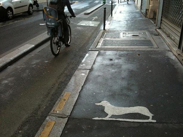 DOGS DELIGHT TO BARK AND...WELL... - by John Baxter