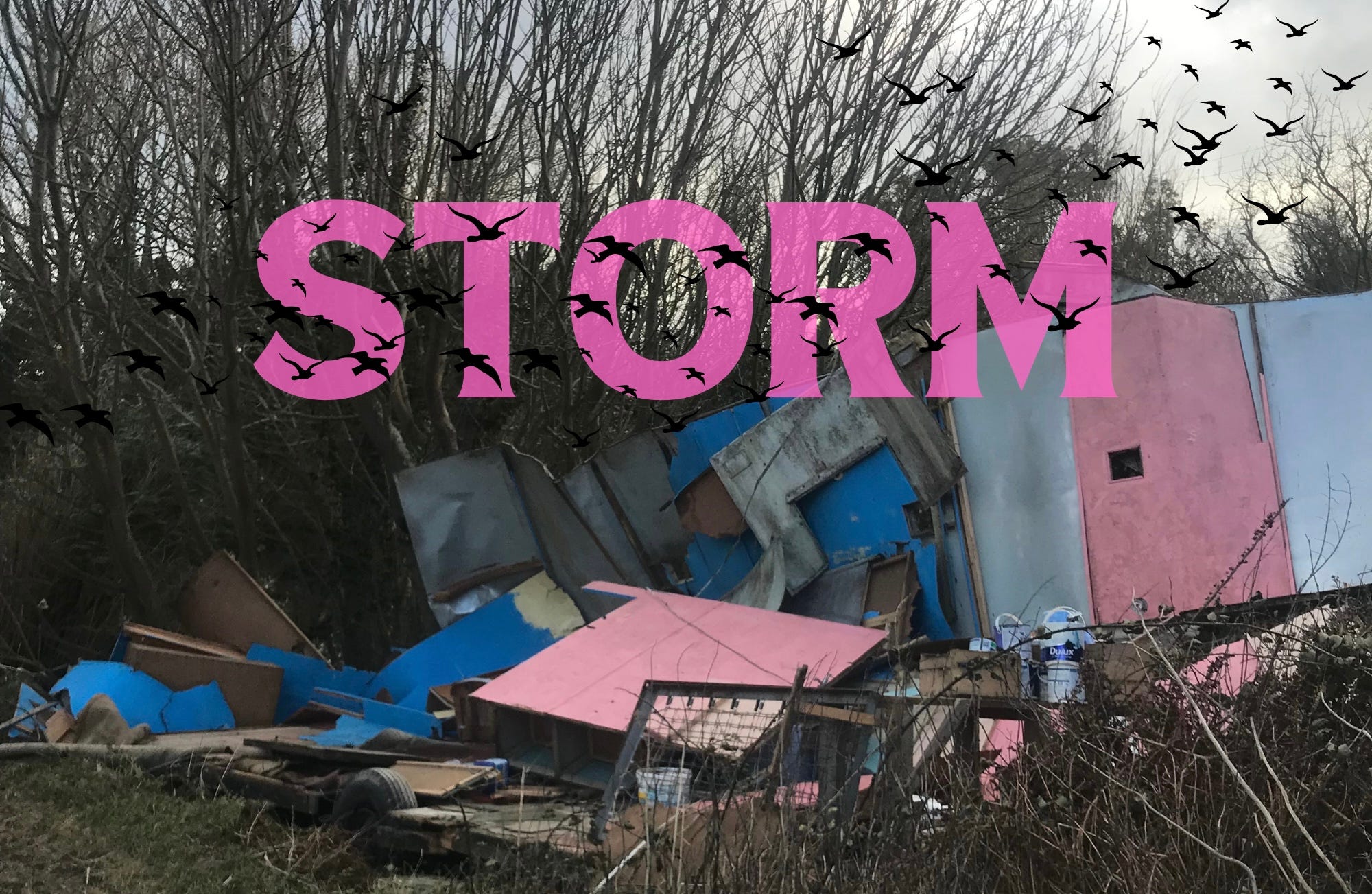 STORM - by Erin MacAirt - Erin’s Substack
