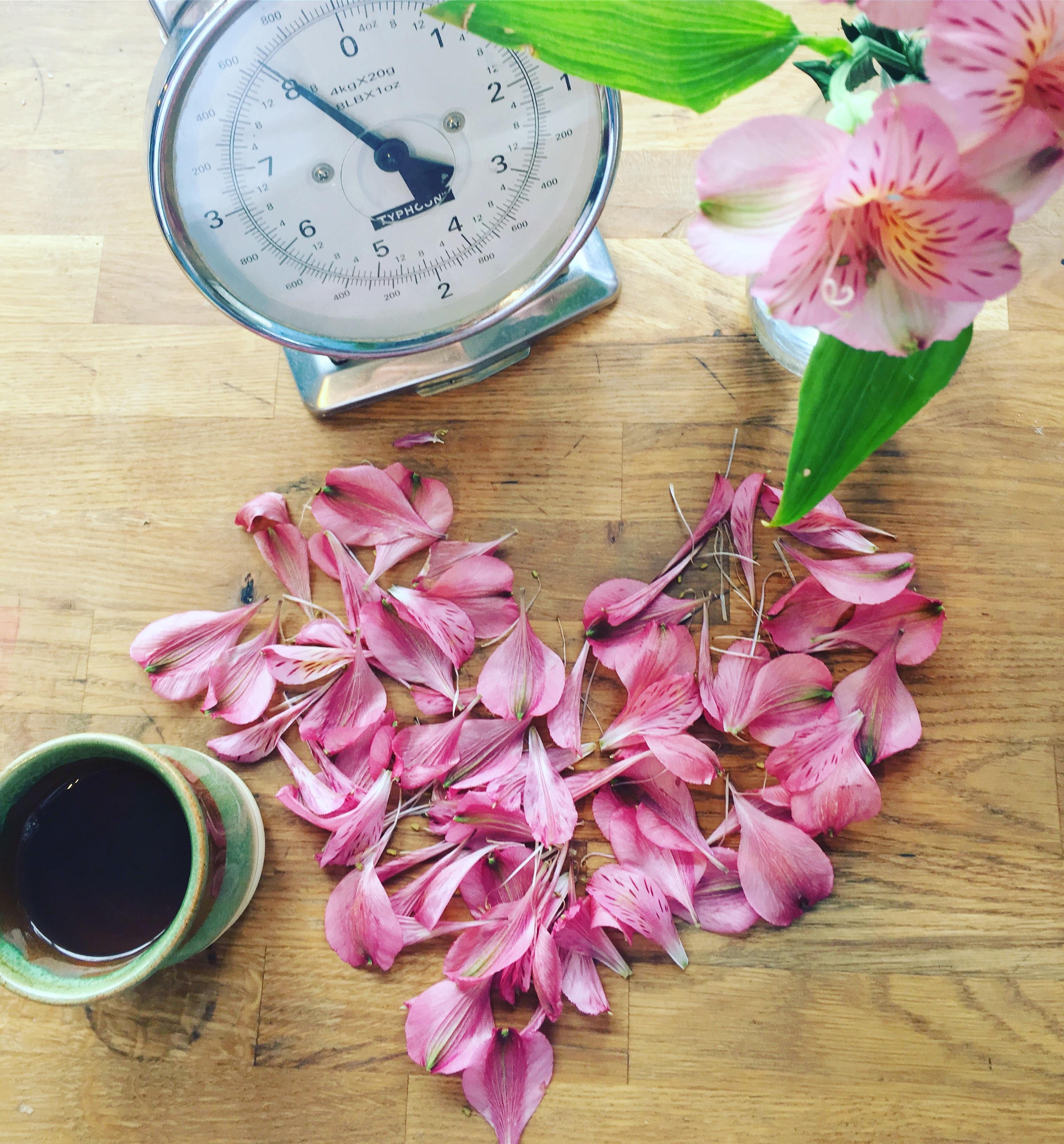 Your Friday Email - Stay Creative on Substack