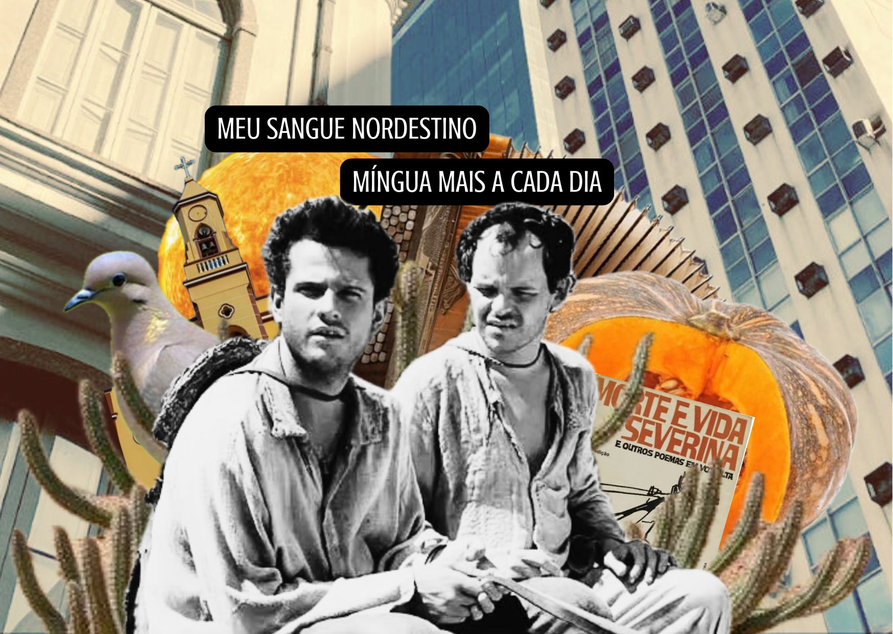 Meu sangue nordestino míngua mais a cada dia