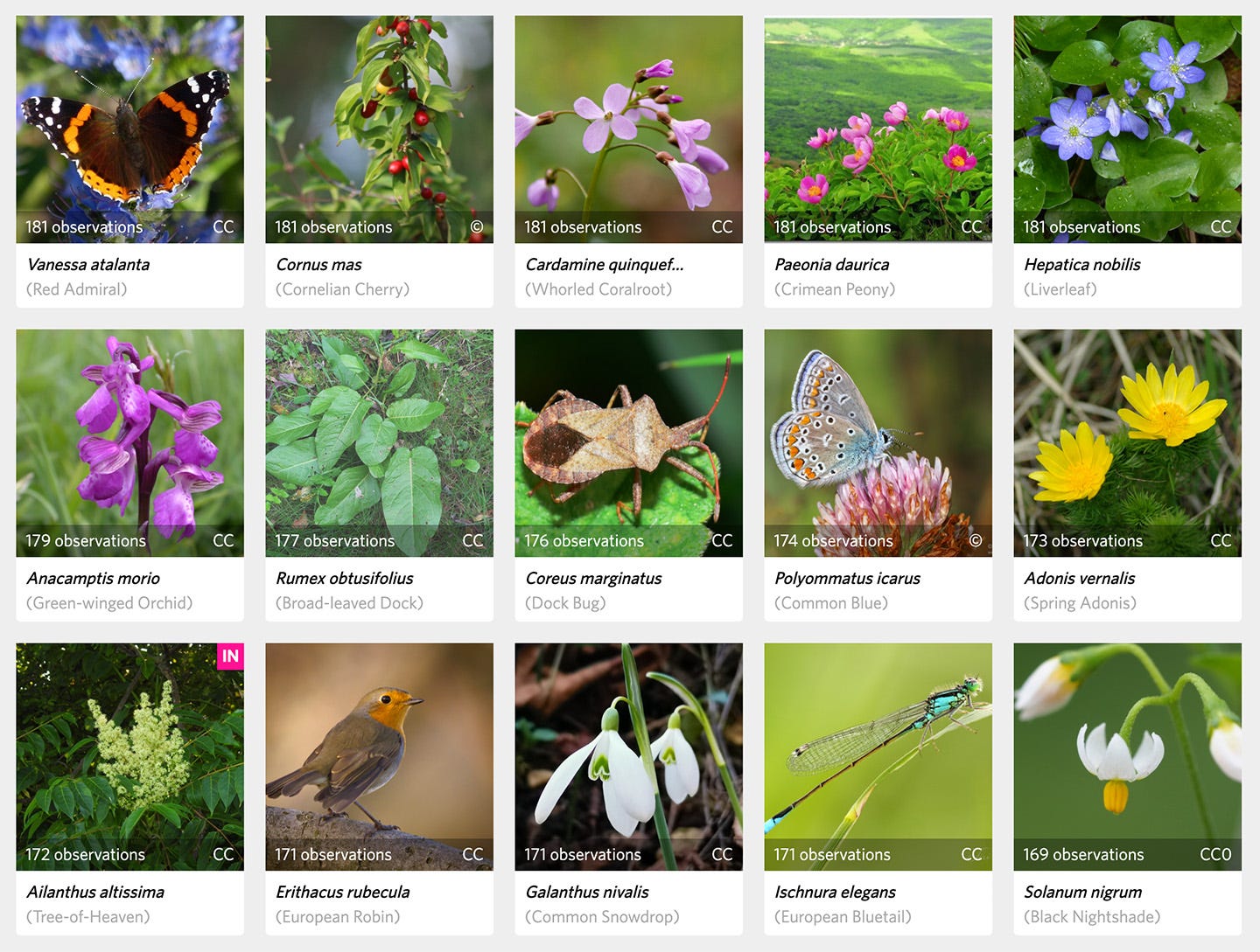 The Nature of War - by Bryan Pfeiffer - Chasing Nature