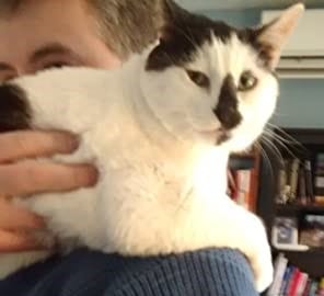 Andrew Tanner | Substack