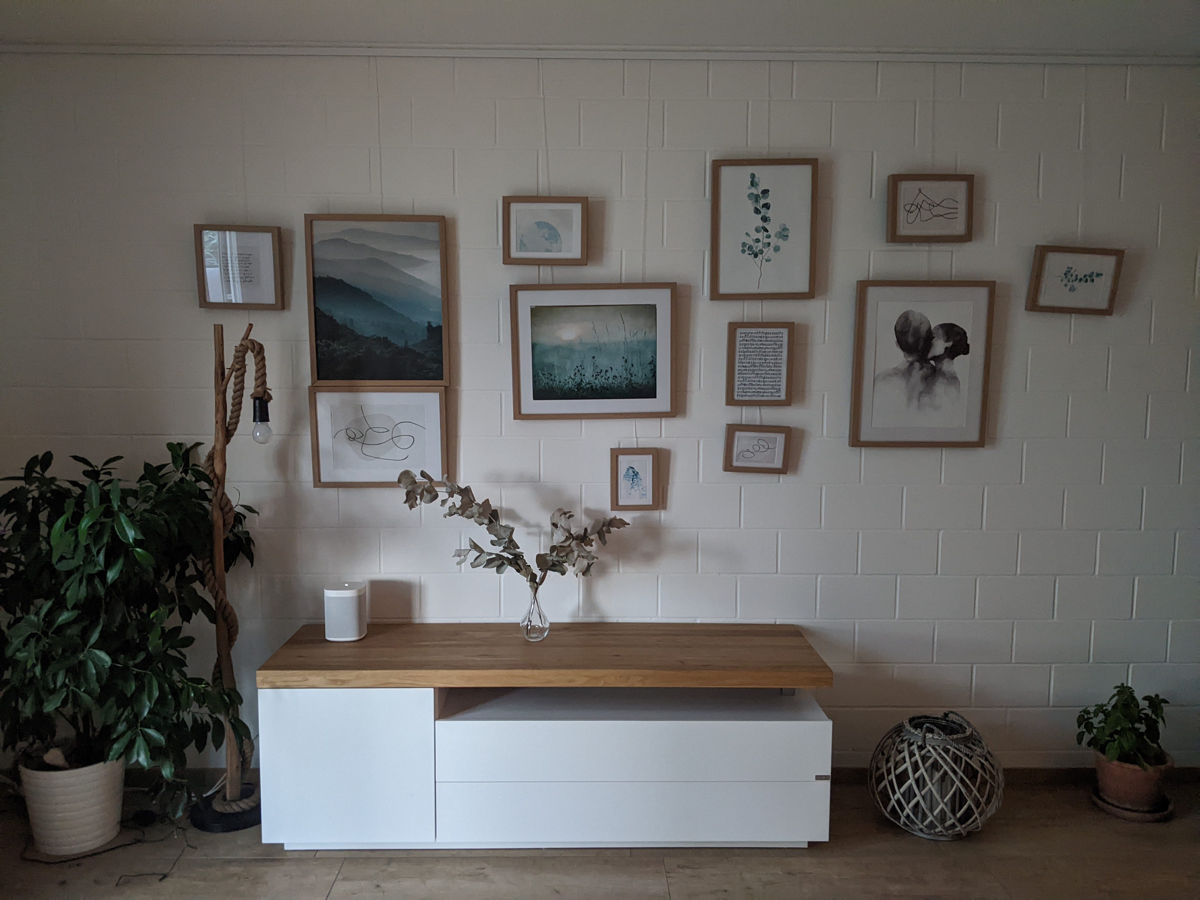 Home - Tanja’s Butterflies