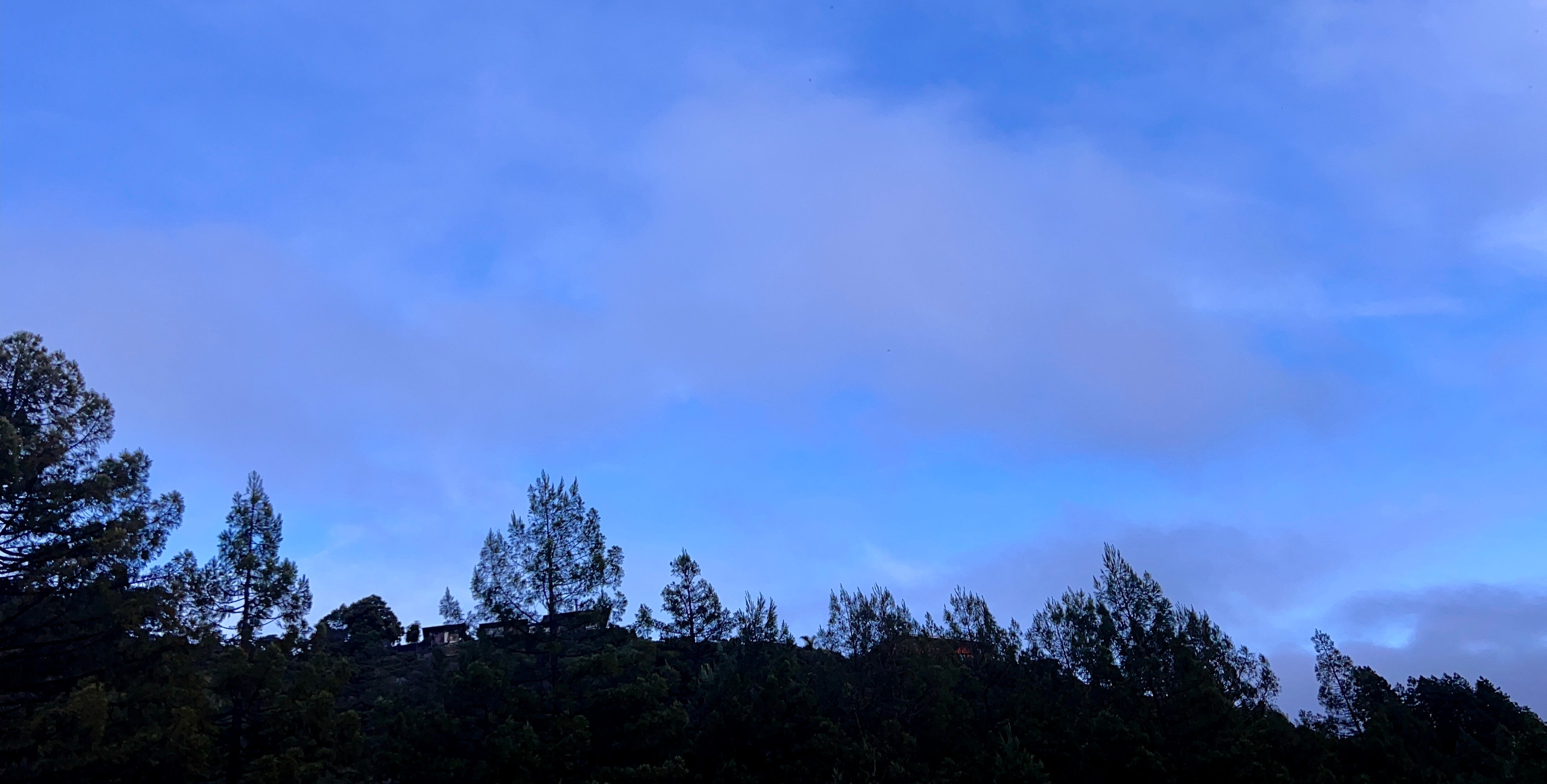 TGIF :: An Ode to Play, Intuition, and Magic