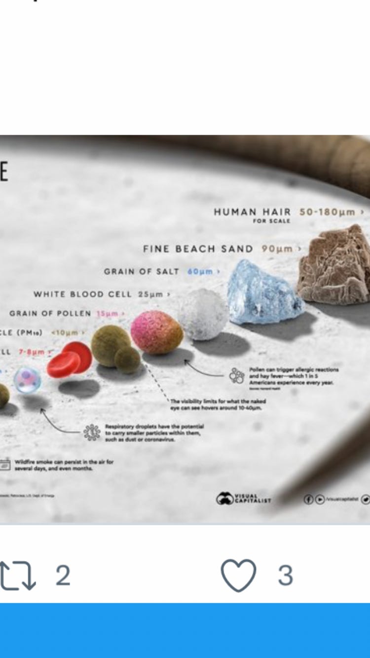 Mask Madness… - by kitten seeking answers