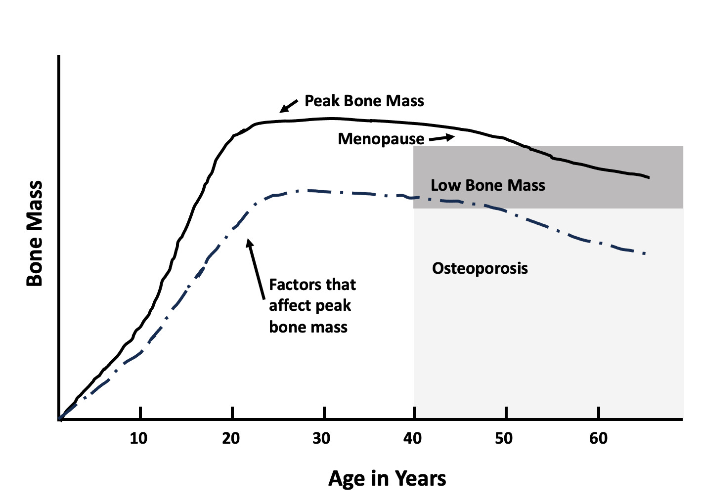 Menopausal Hormone Therapy and Osteoporosis Prevention