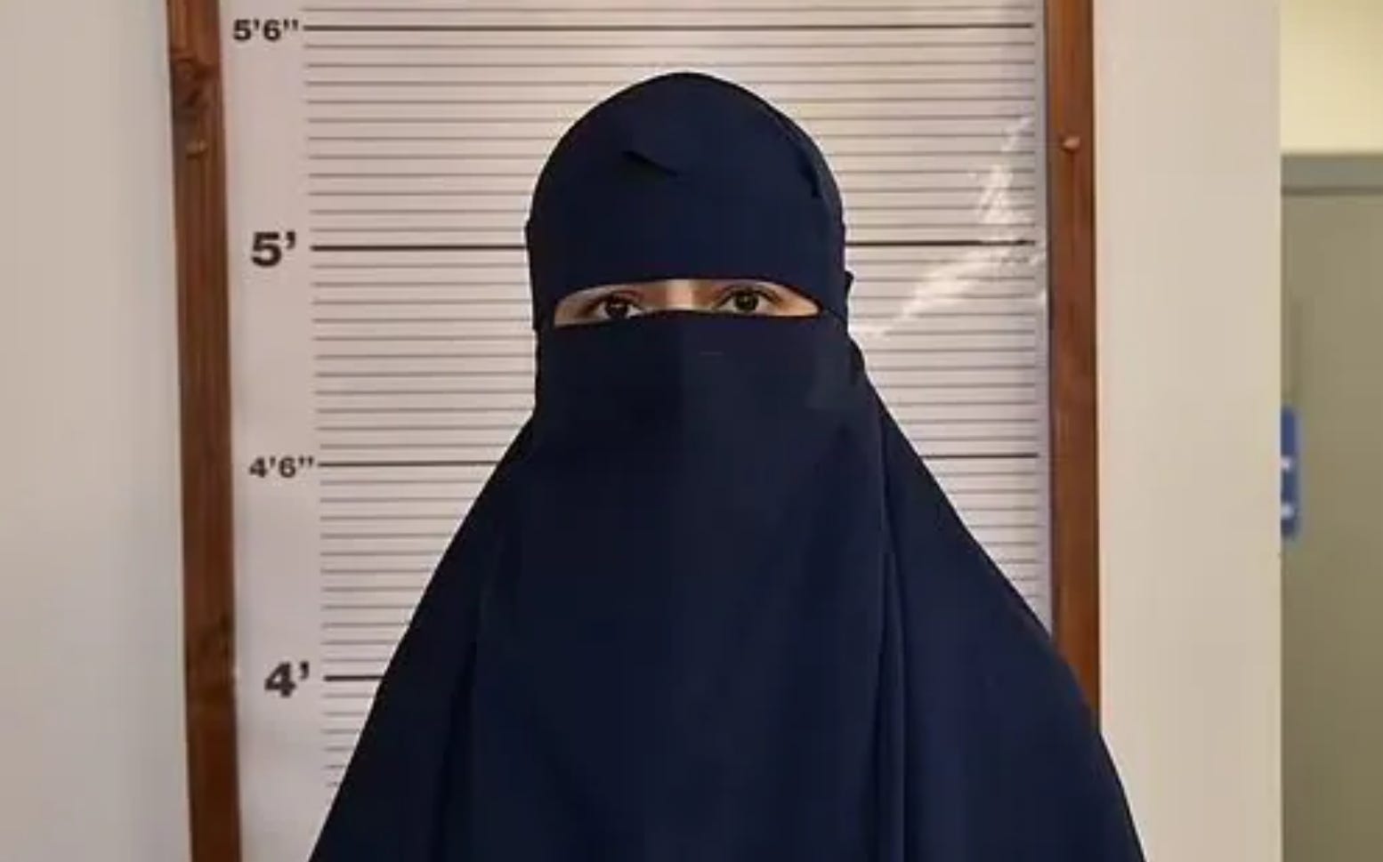 Have You Seen This Woman? - by Fergus Mason