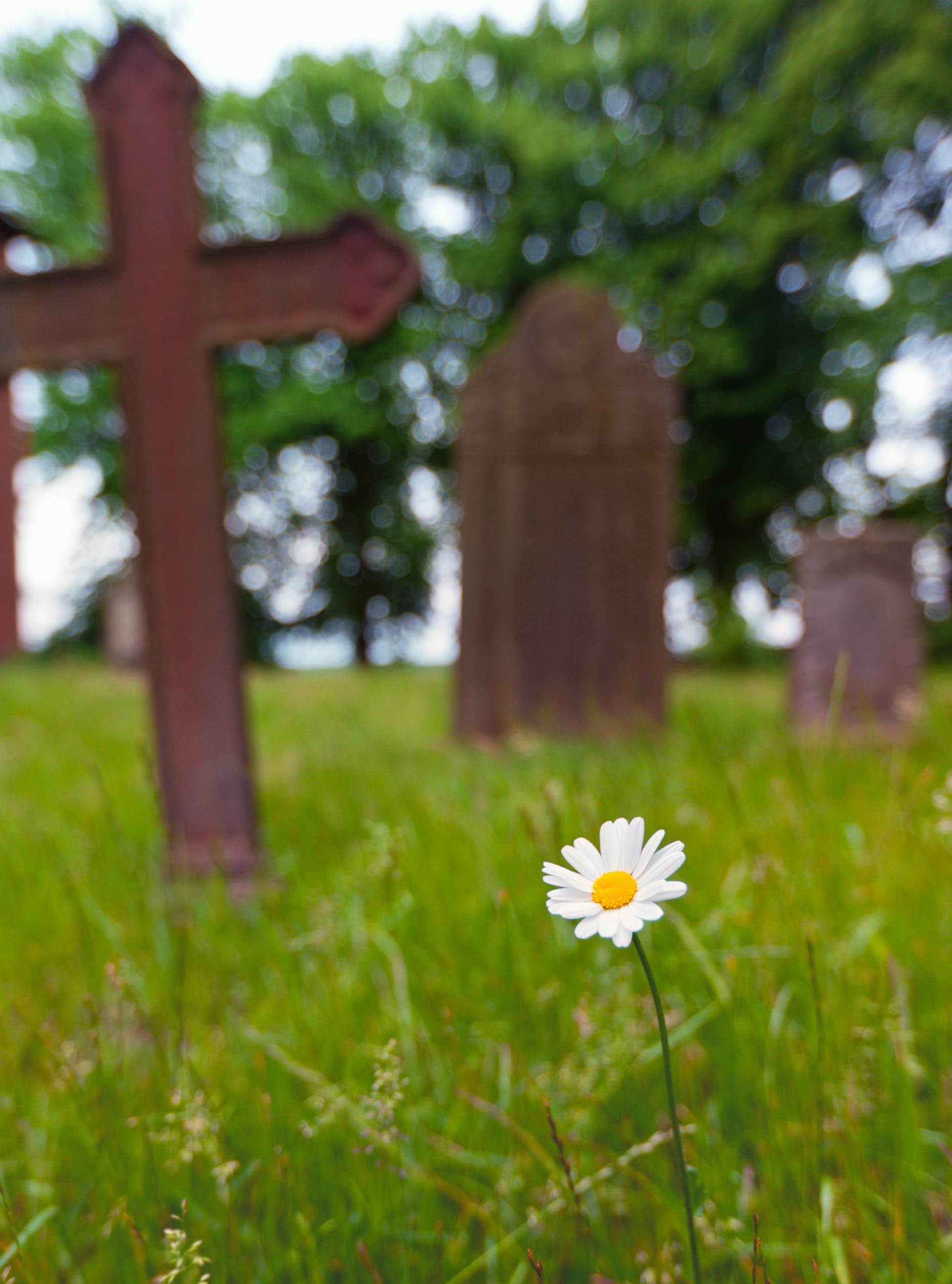 Why European leaders are experiencing the final stages of grief, as ...