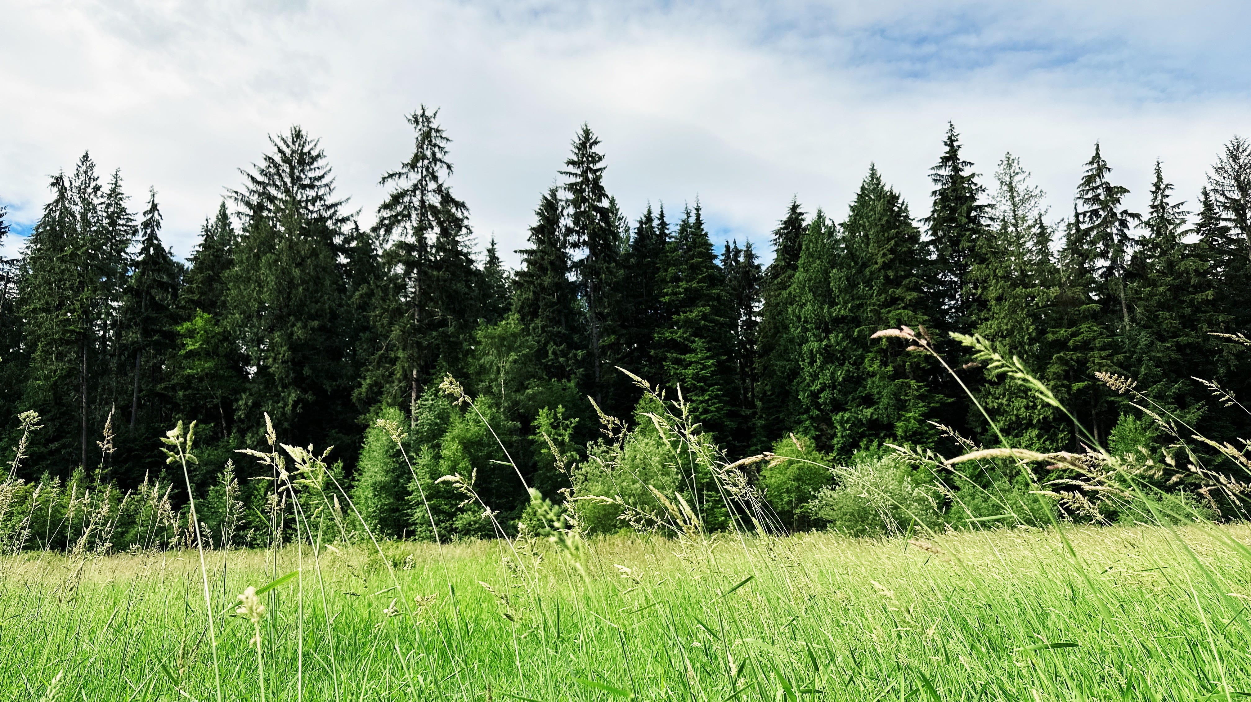 🧭 슬기로운 경제적 자유 그리고 미래에 대한 고민 - by Kay Yoon - 슬기로운 방황생활