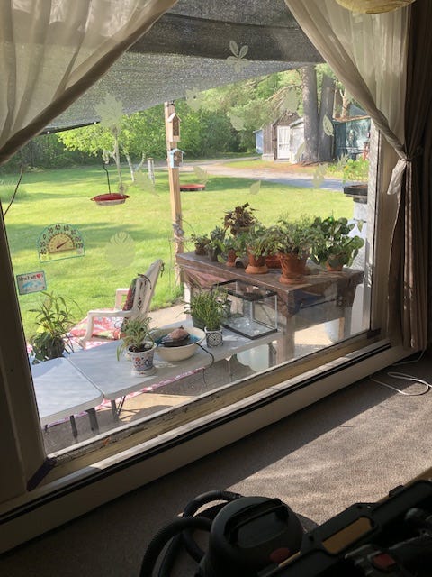 Freida’s Summer Camp - by Gail Sawyer