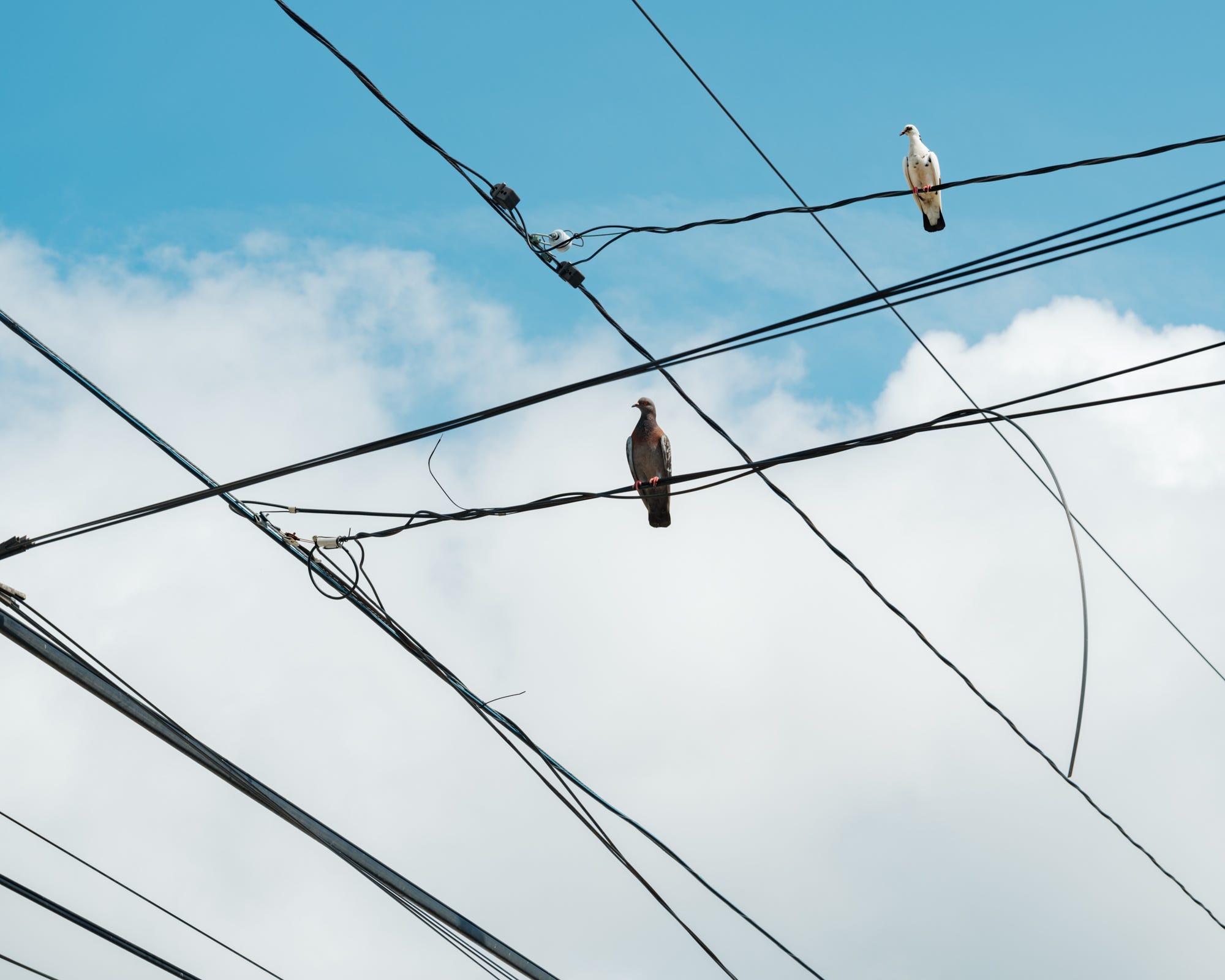 Edgemere - Queens - by Rob Stephenson - The Neighborhoods