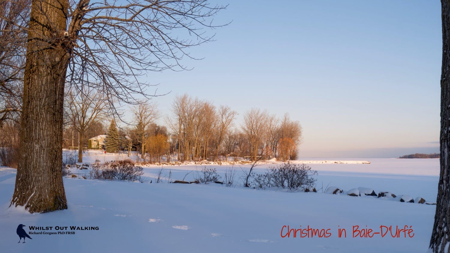 "Merry Christmas, One and All" - by Richard - Out Walking