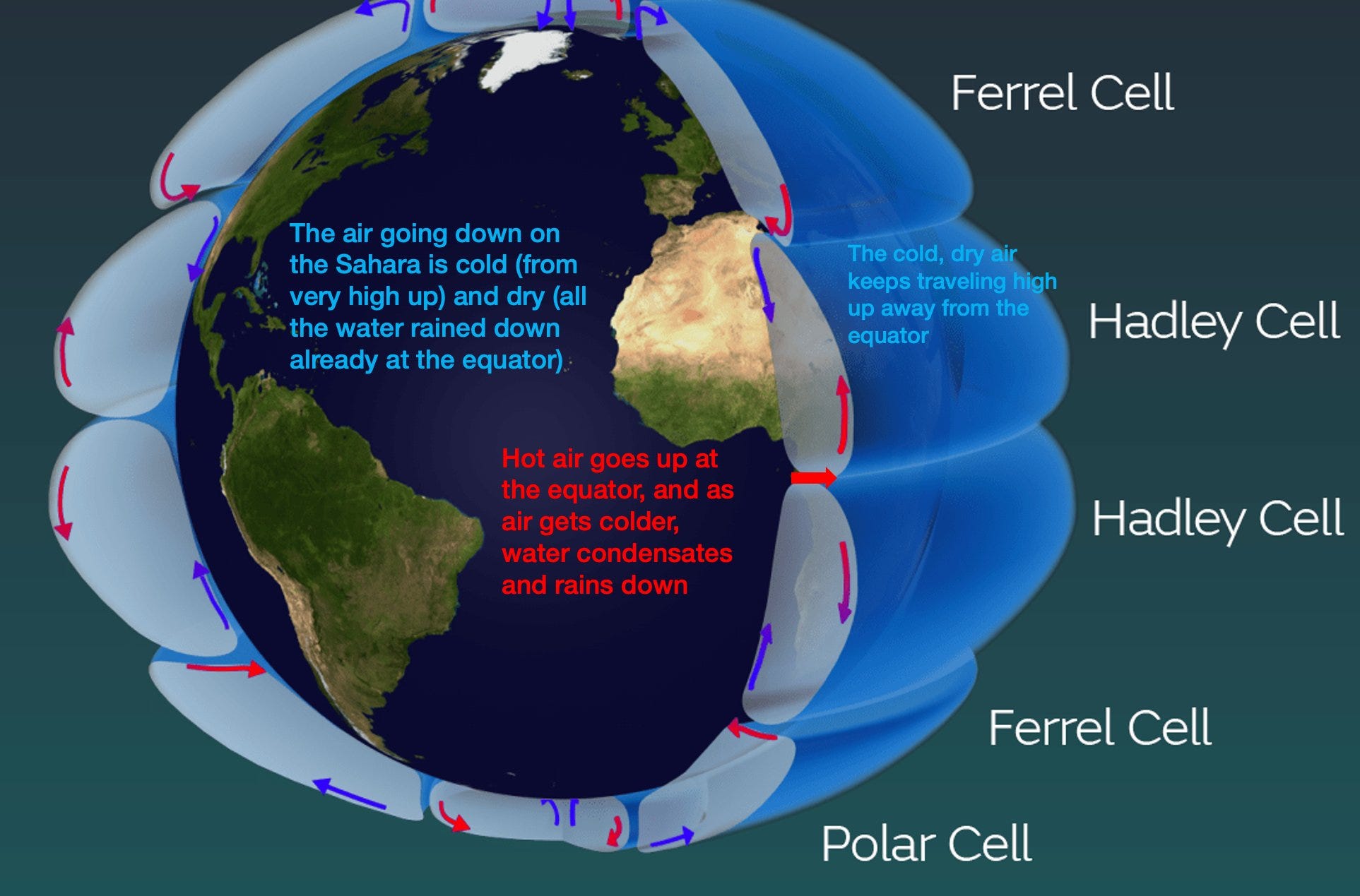Why Do 50% of People Live in This Circle? - by Tomas Pueyo