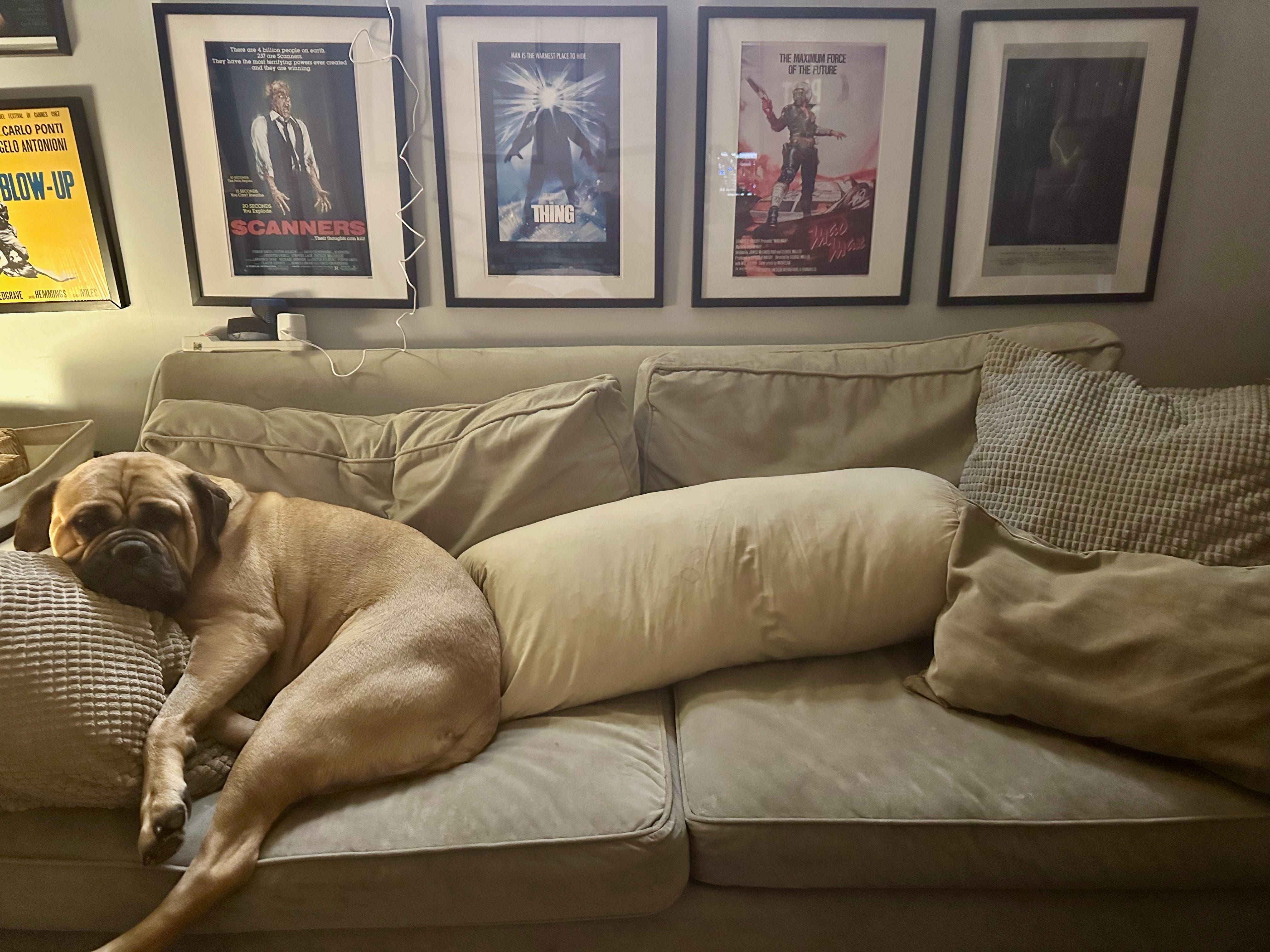 Cocktails With Suderman | Peter Suderman | Substack