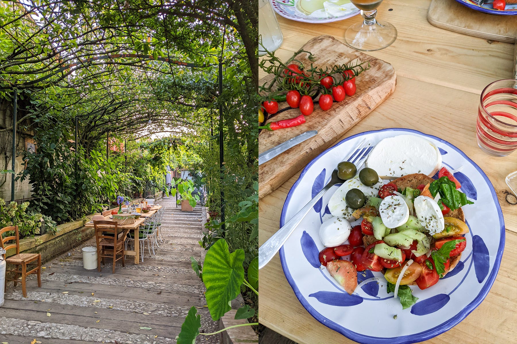 Ricotta Apricot Almond Cake - by Audrey Le Goff