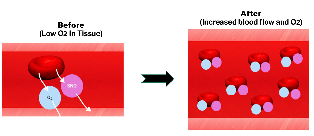 Nitric Oxide's Role In Health And Performance