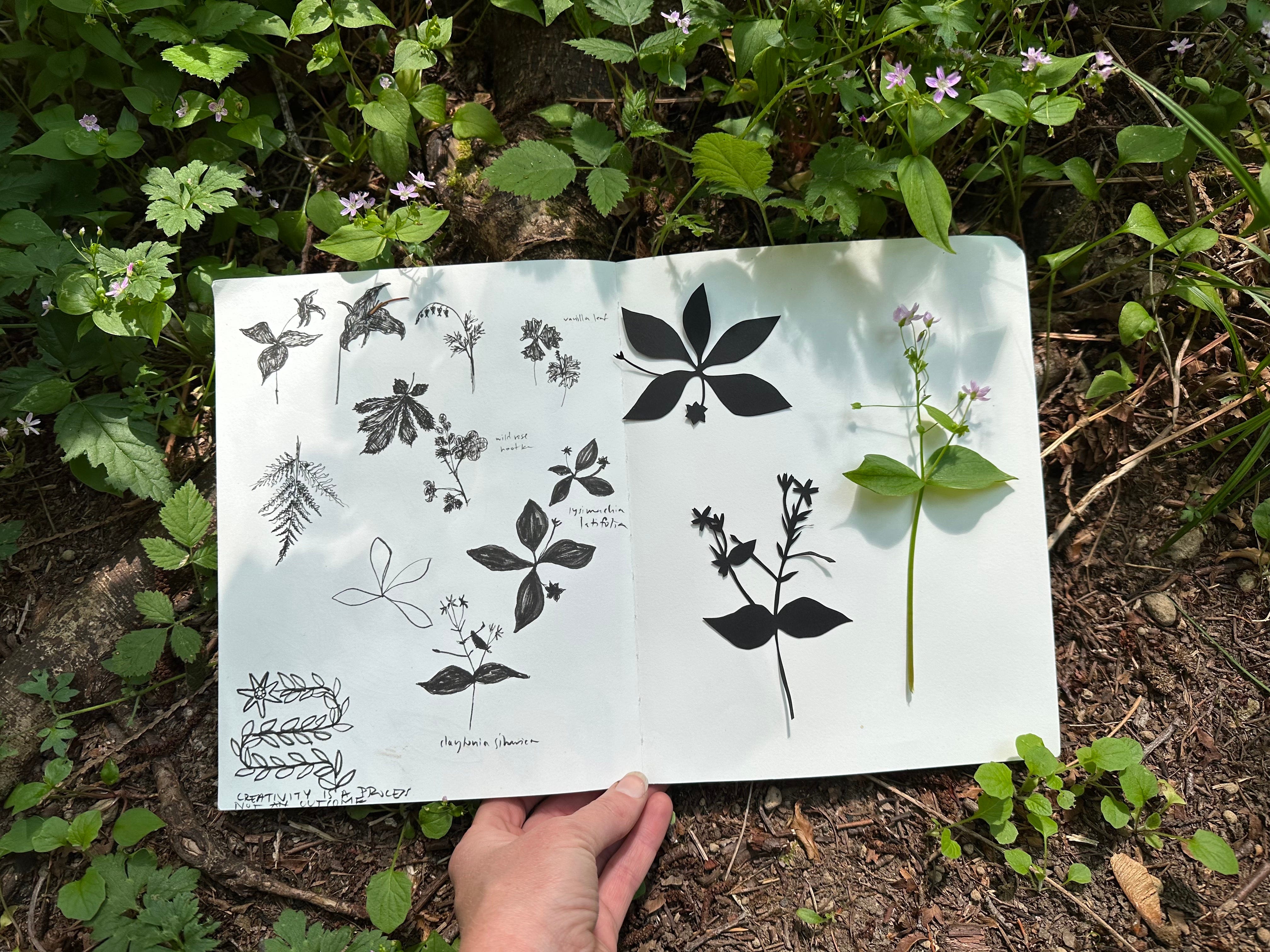 Taking Time to Observe - Creative Fuel with Anna Brones