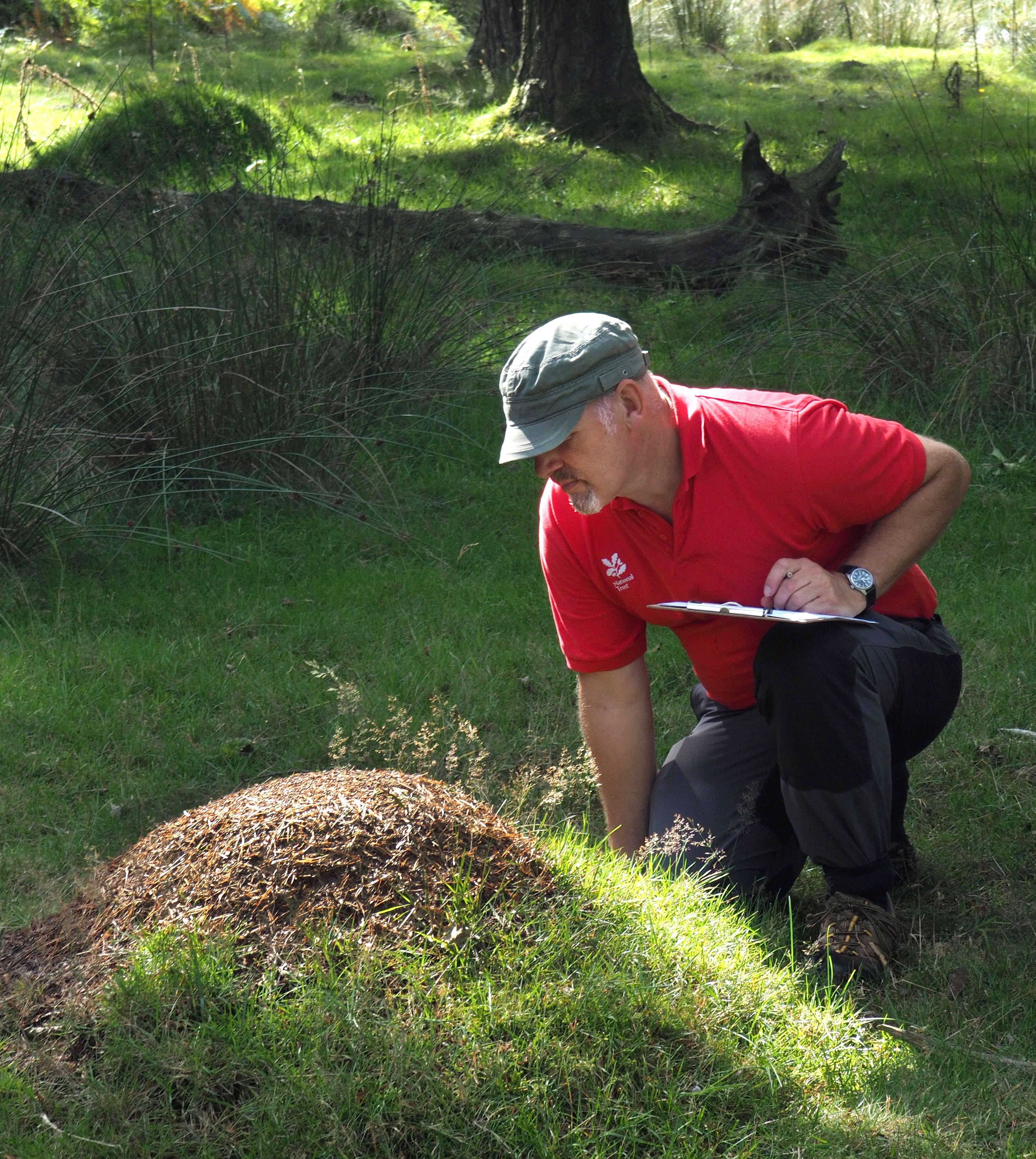 What To Look For In January 2024 - by David Bocking