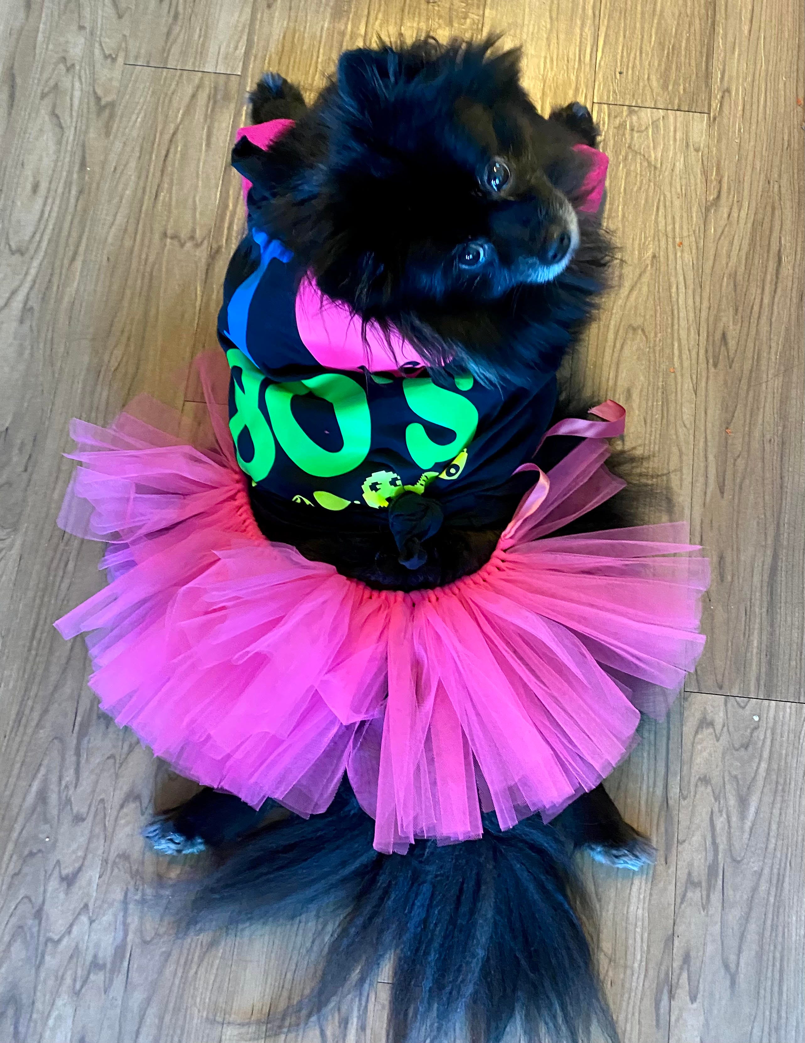 Notes from the Return - by Chrissy Stroop