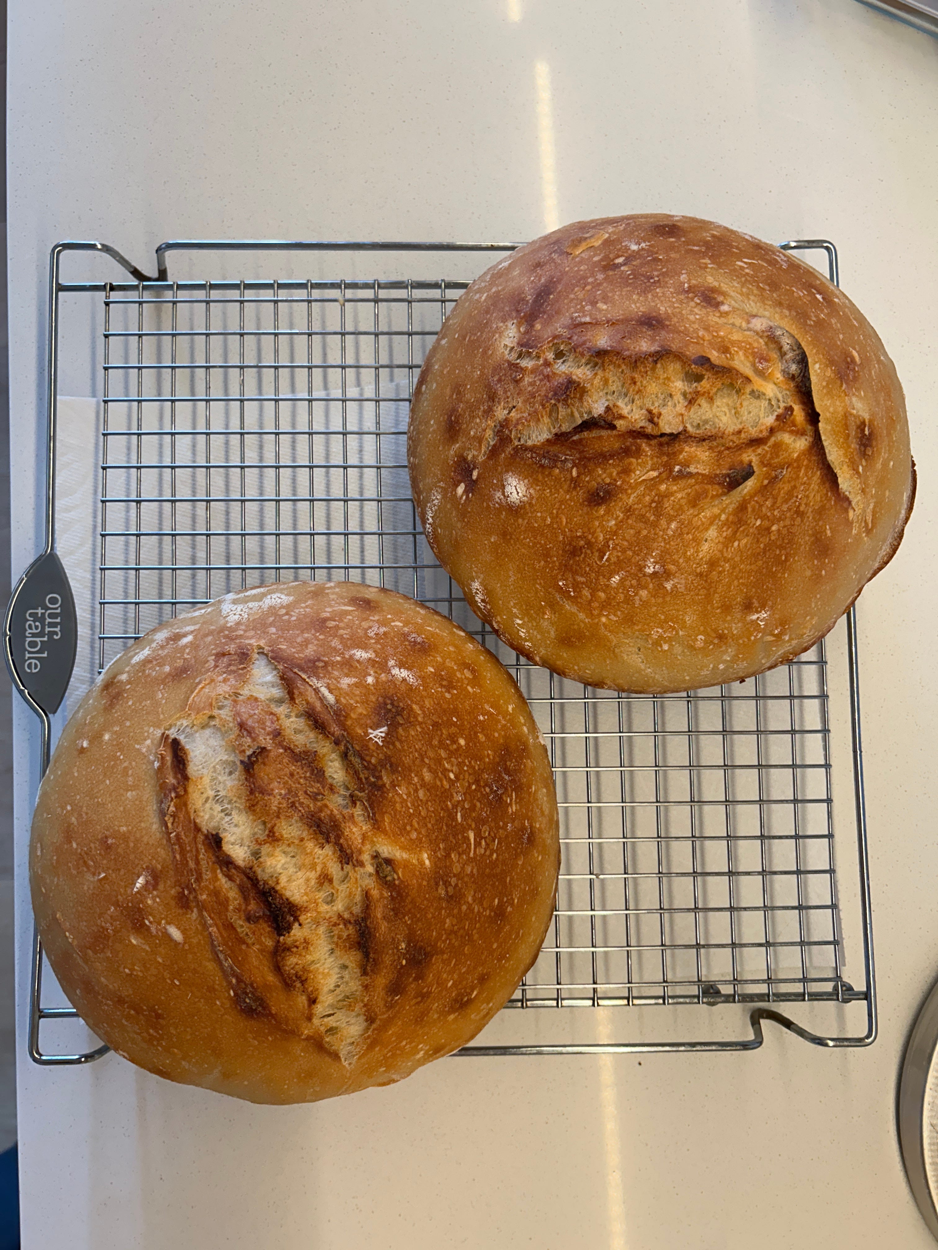 Sourdough Sagas - by Lila Victor - Lila’s Substack