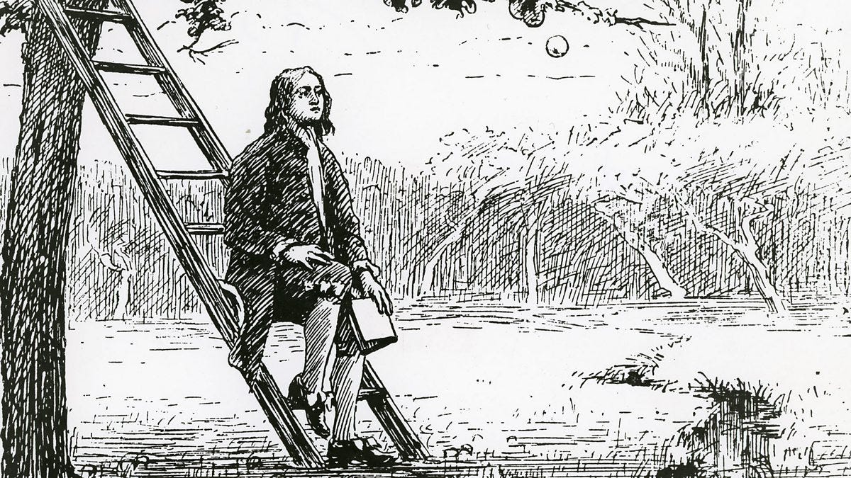 The apple of his eye, c.1666 - by Andrew Chapman