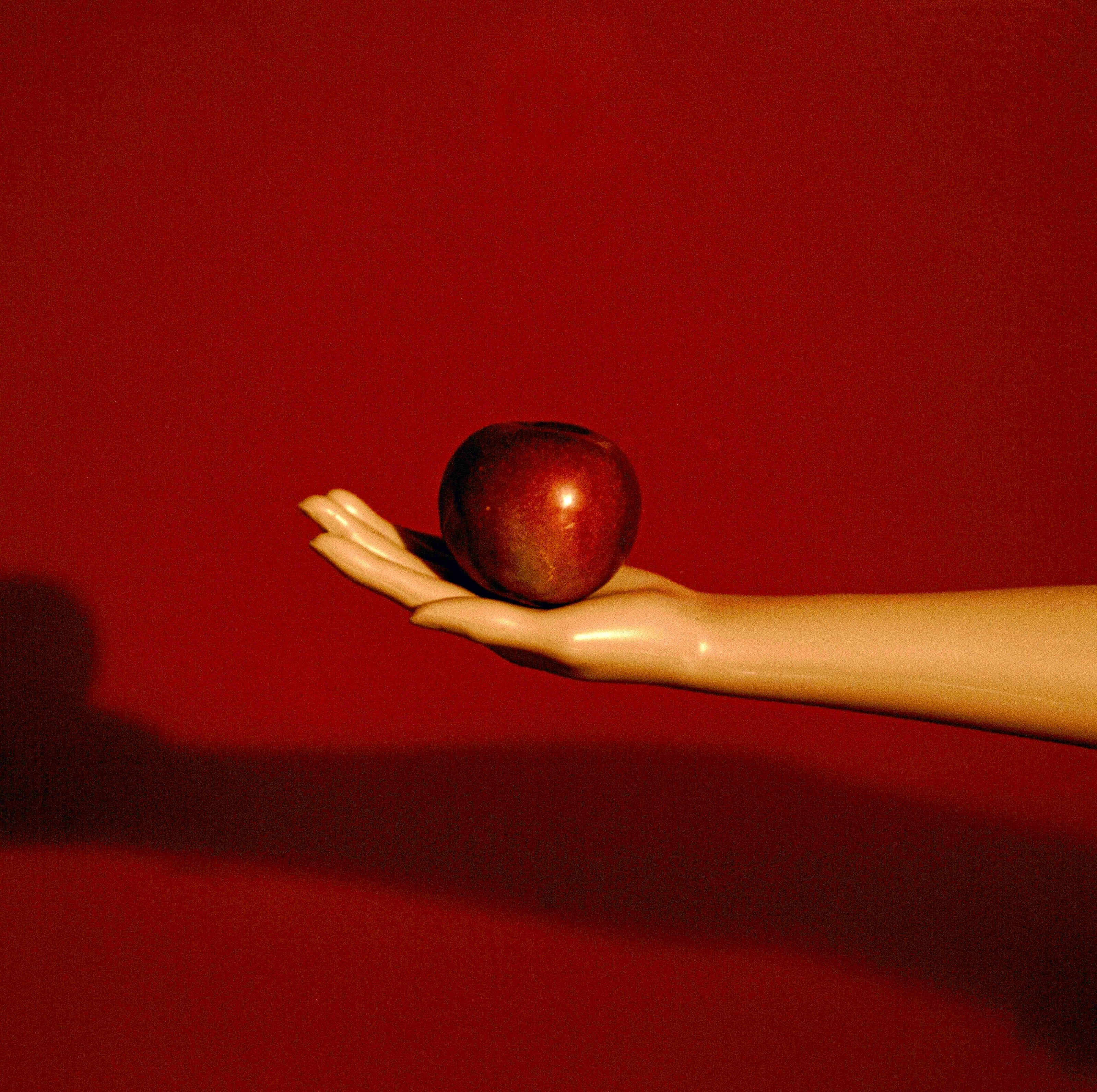 The Lackluster Resume for an Unfit Suitor