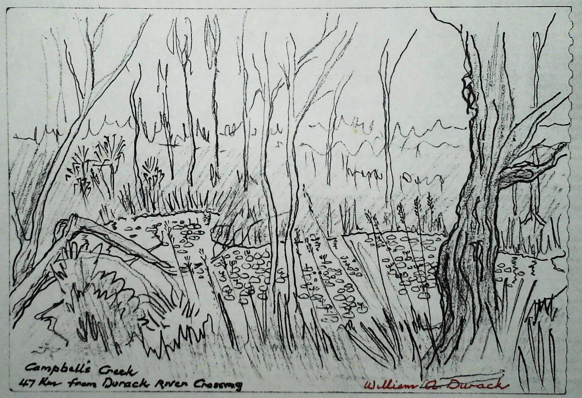 The 1989 Great Safari Expedition Letter - by Patrick Durack