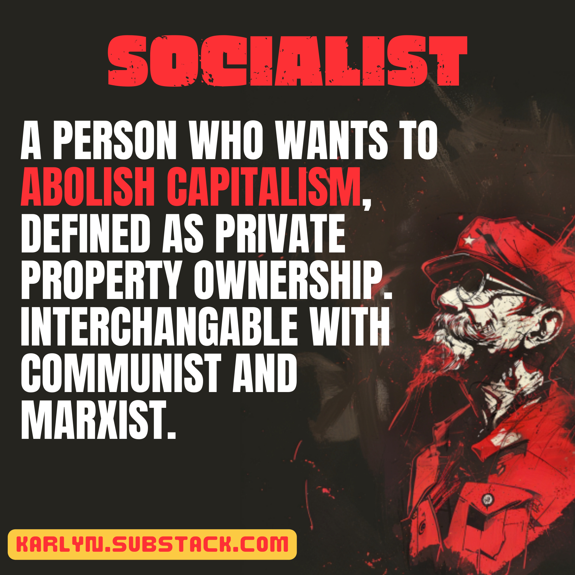 The Socialist Dictionary - by Karlyn Borysenko