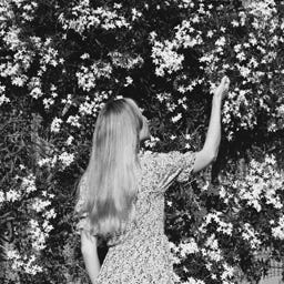 Sarah Alison | Substack